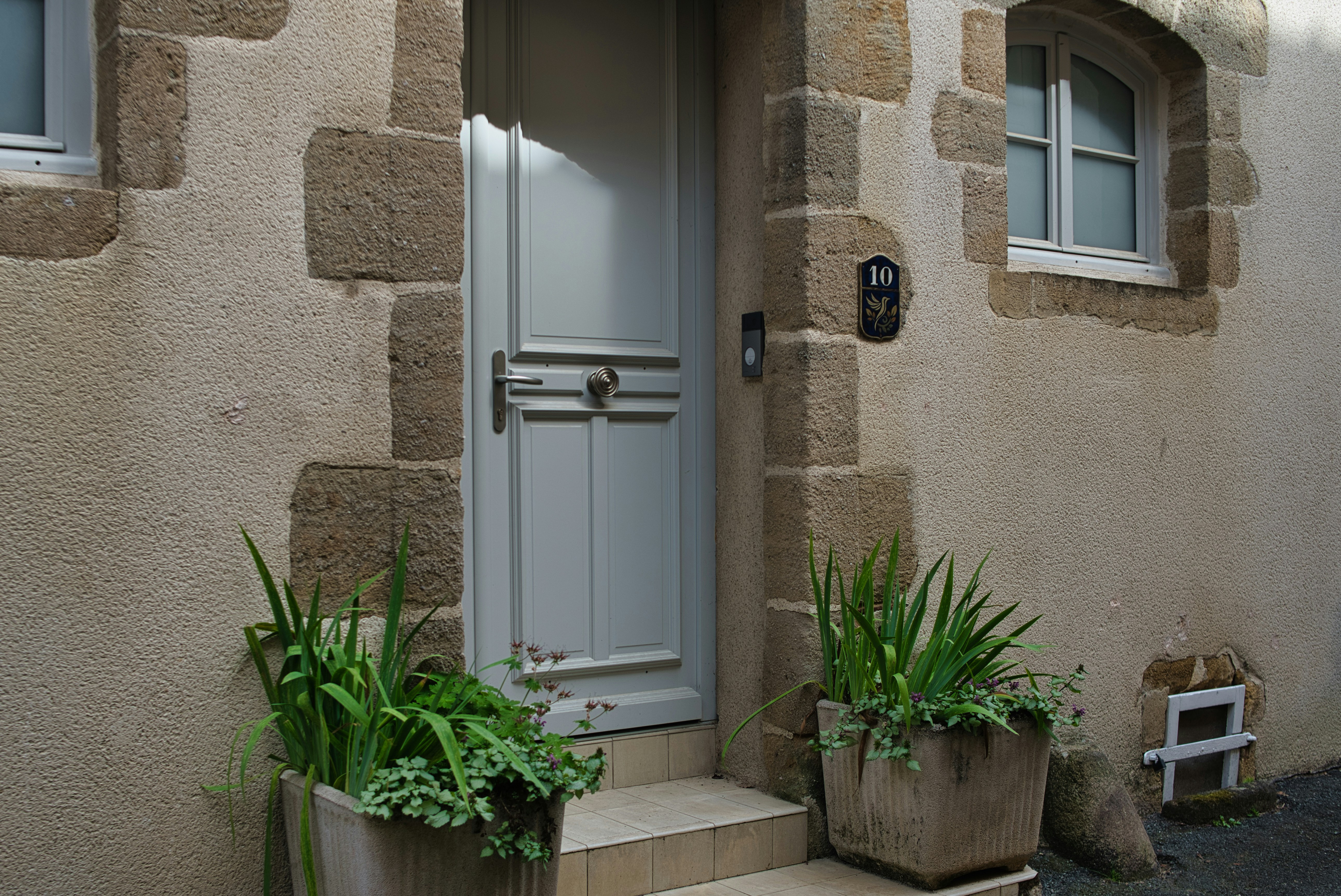 Quiet Step to a Pruned Terrace: A Pale Door Framed by Planter Edges