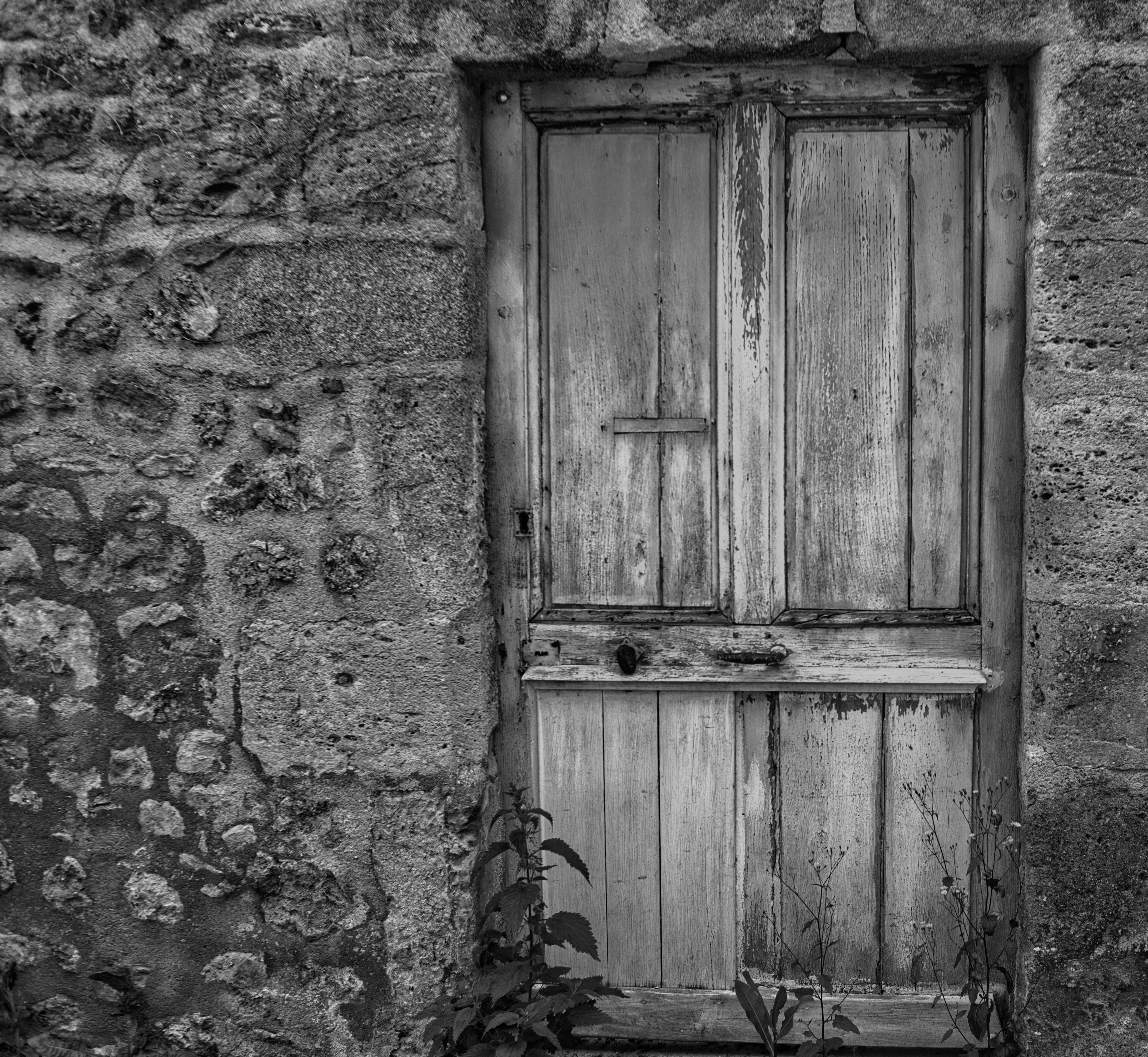 Weathered Doorway: Quiet Testimony of Stone and Vine