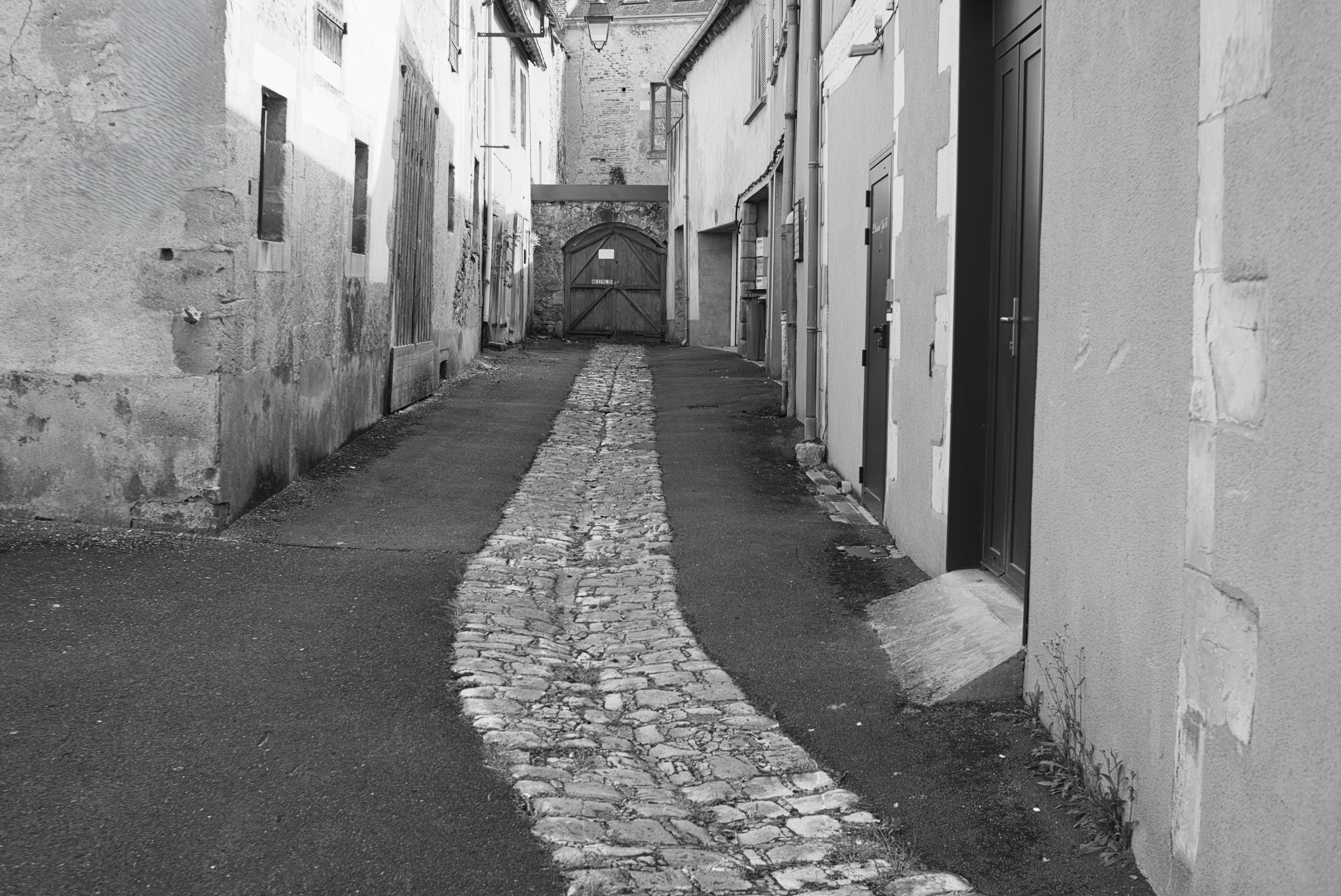 Cobblestone Ribbon: A Quiet Street Toward a Wooden Gate