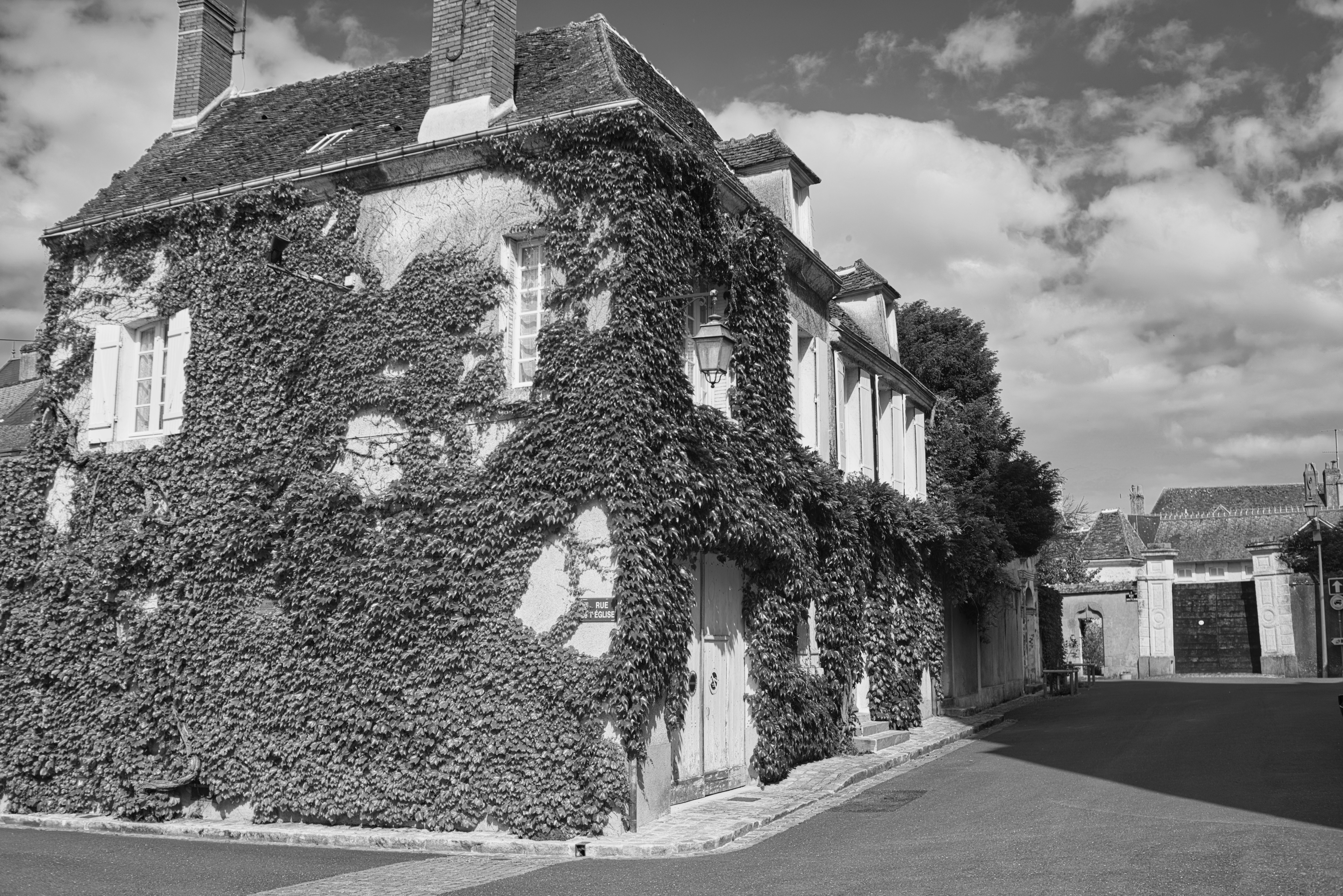 Ivy-Covered Facade on a Quiet Village Street