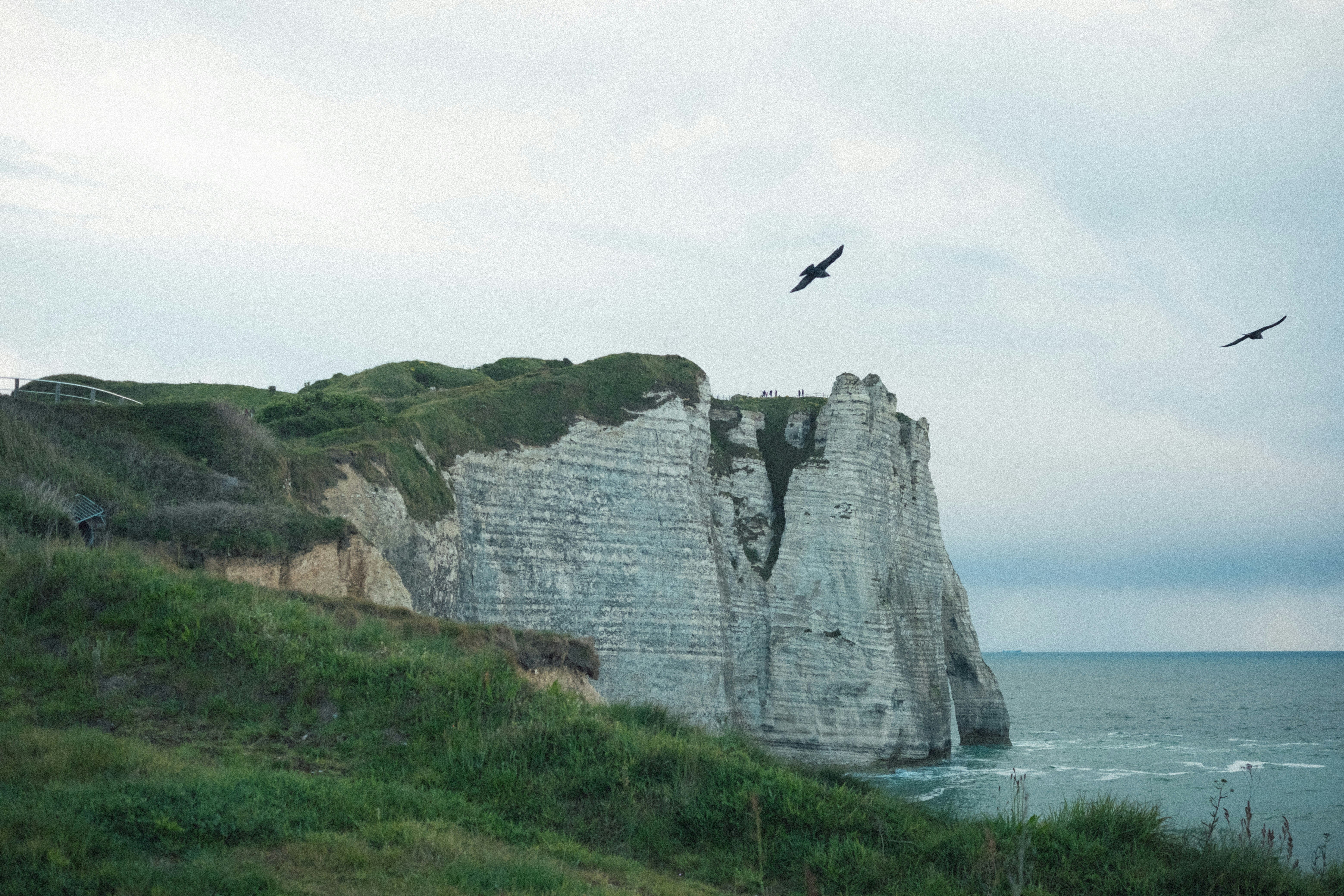 Cliffside Vista: White Chalk Reefs against the Sea