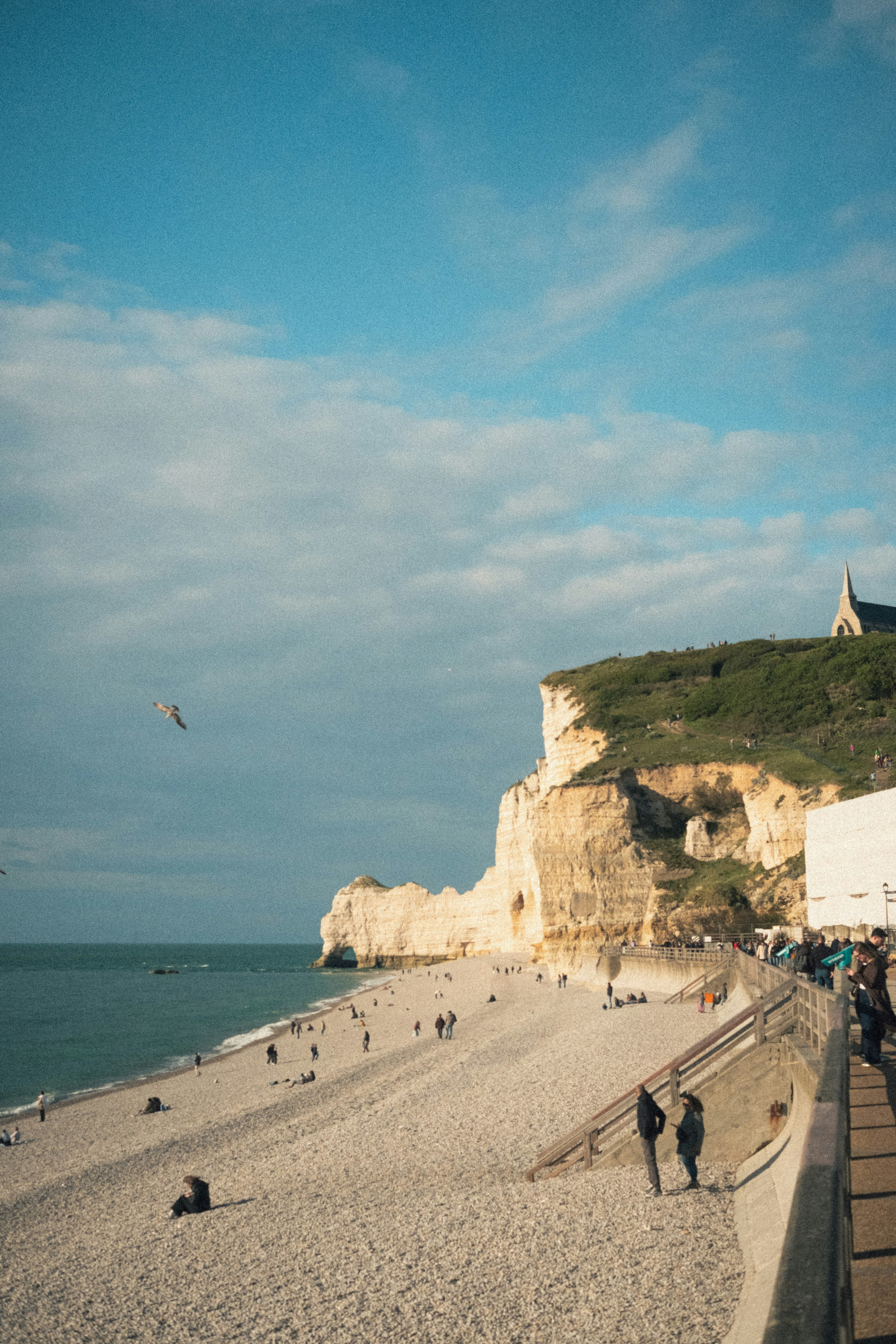 Cliffs, a Sea-Walk, and a Seabird in Flight
