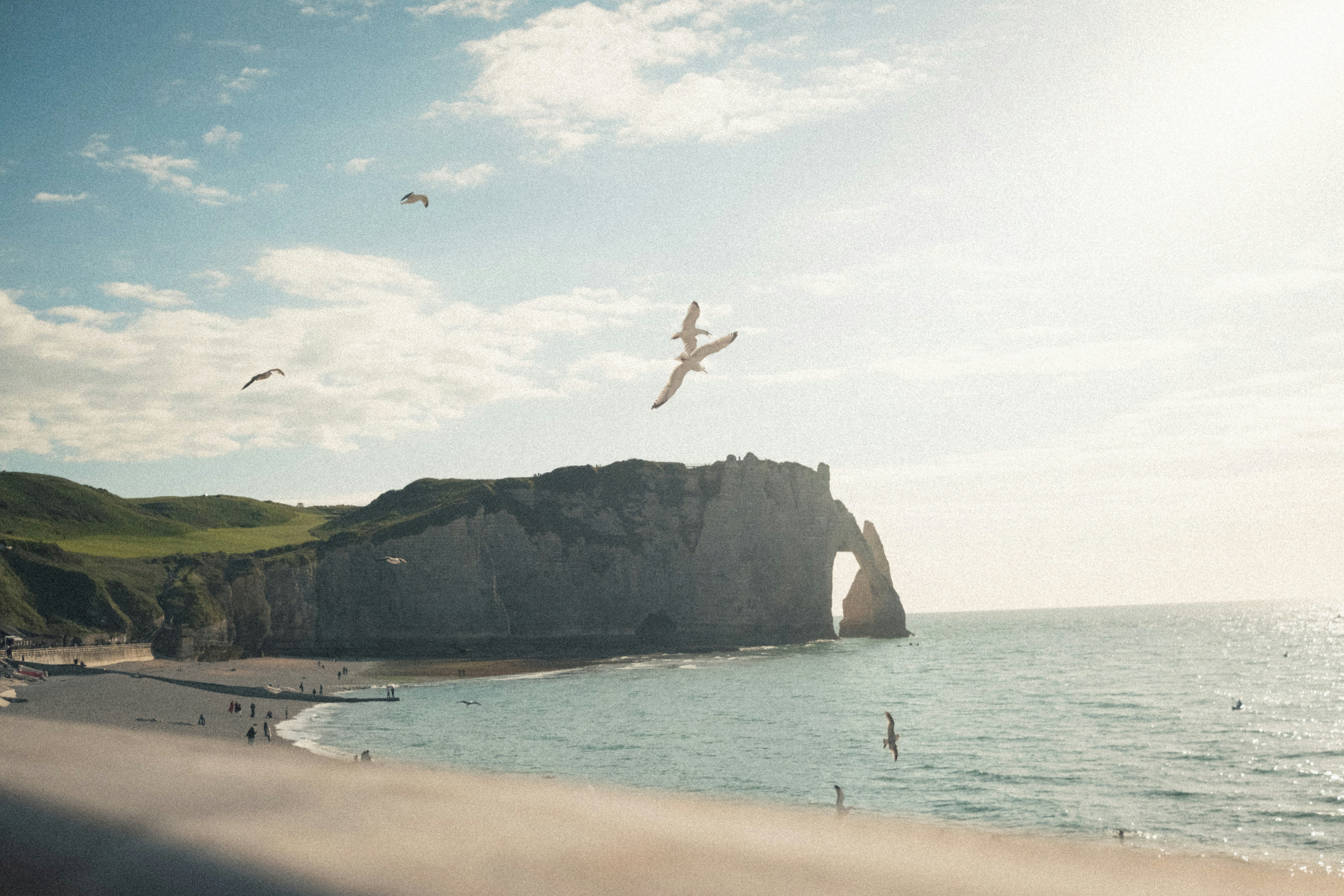 Sea Arch Promenade: Light, Wind, and Wings over the Cliffs