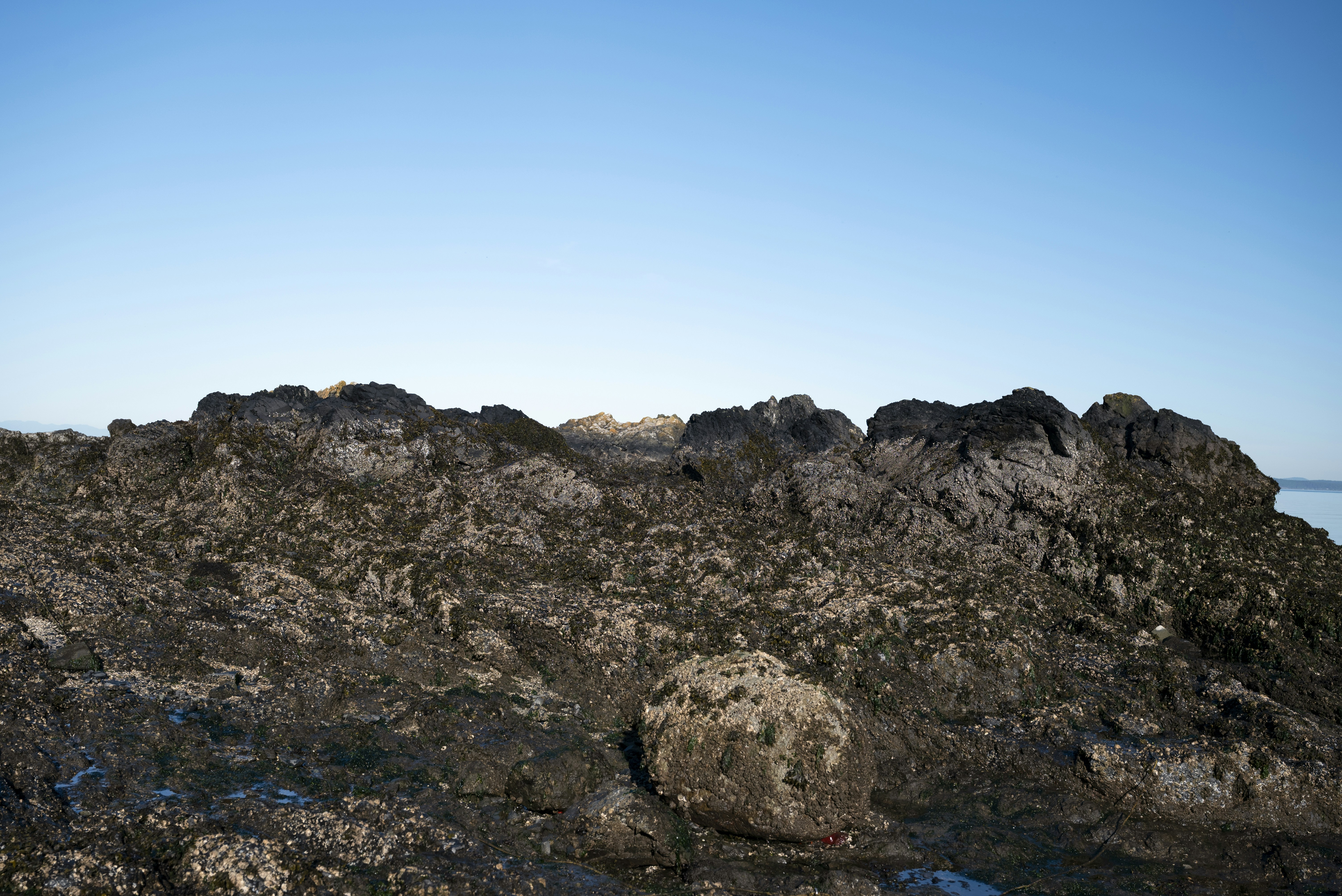 Coastal Tether: A Limestone Seascape Against a Clear Sky
