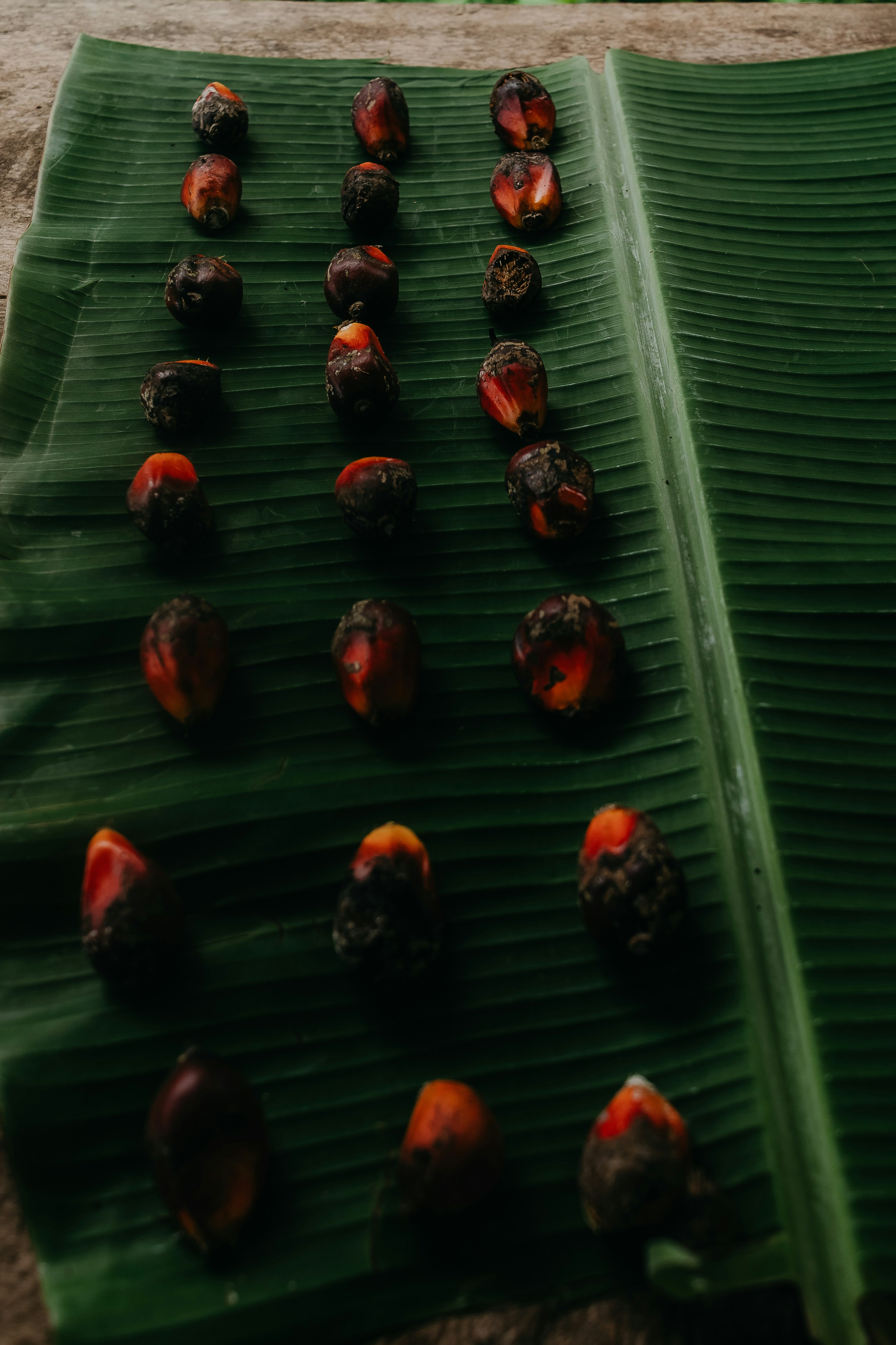 Patterned Grooves: Red-Brown Seeds on a Green Banana Leaf