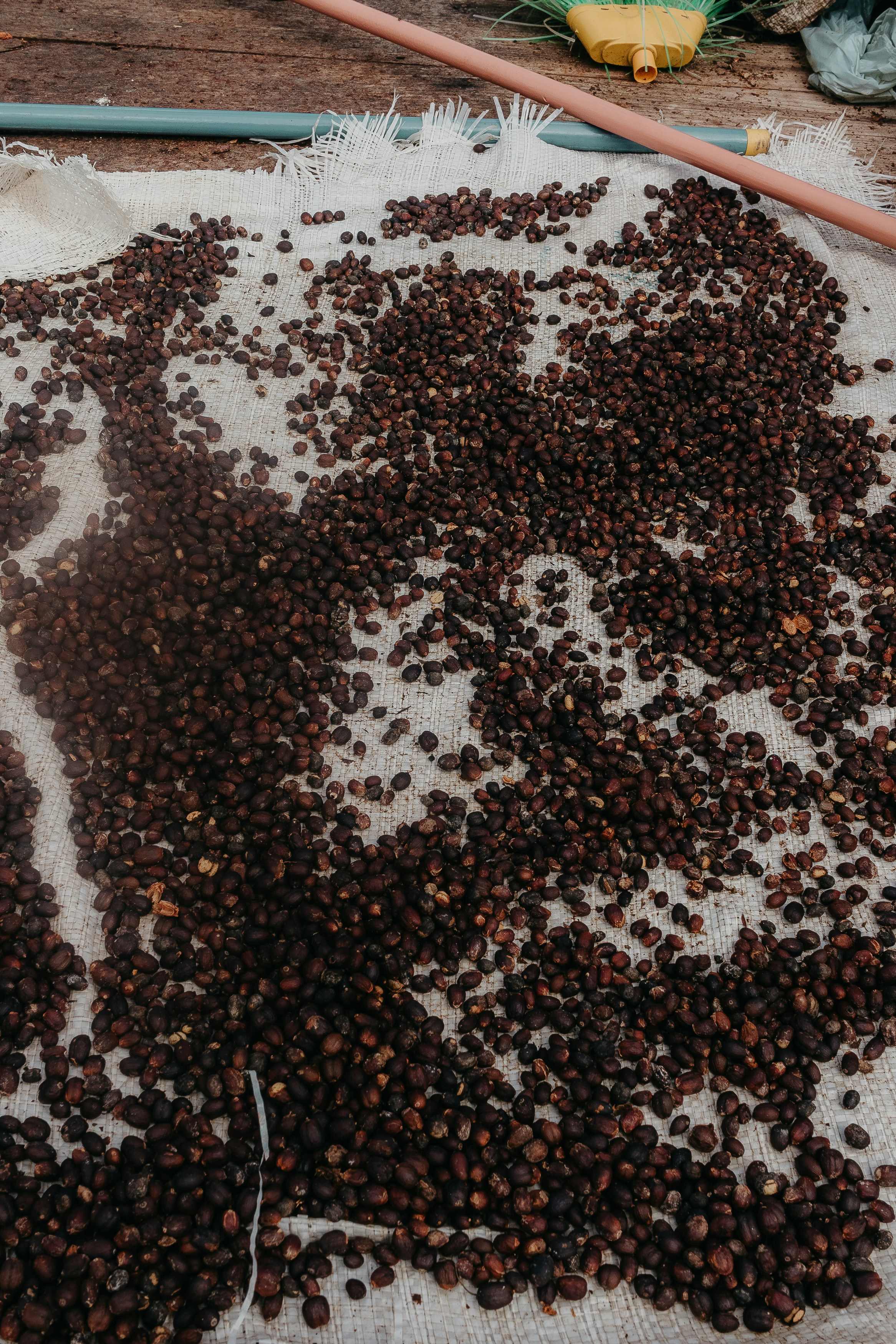 Sun-dried Roselle: Piles of Beans Against a Rustic Cloth