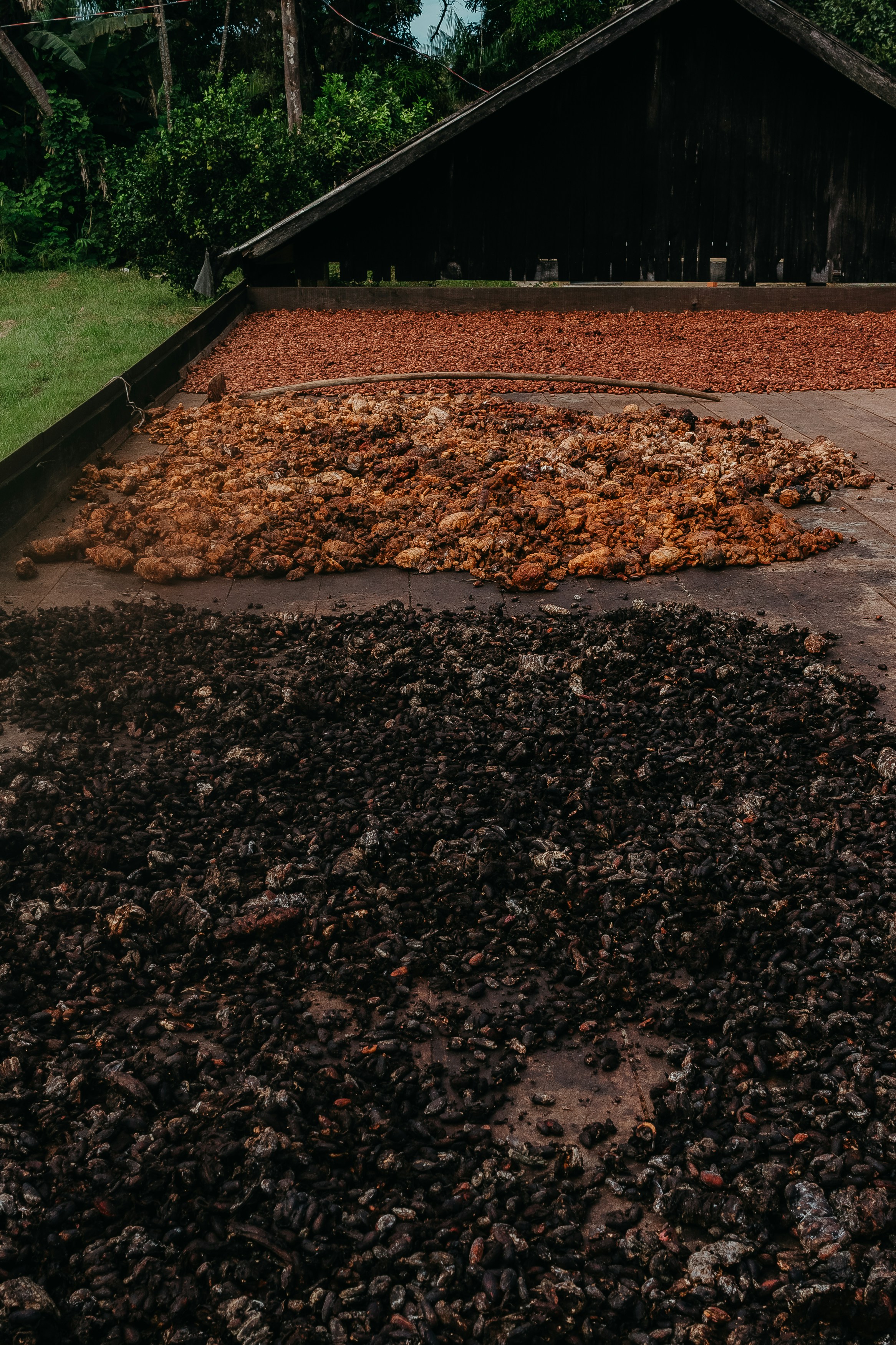 Charred Piles in Sunlit Compound Roof Garden