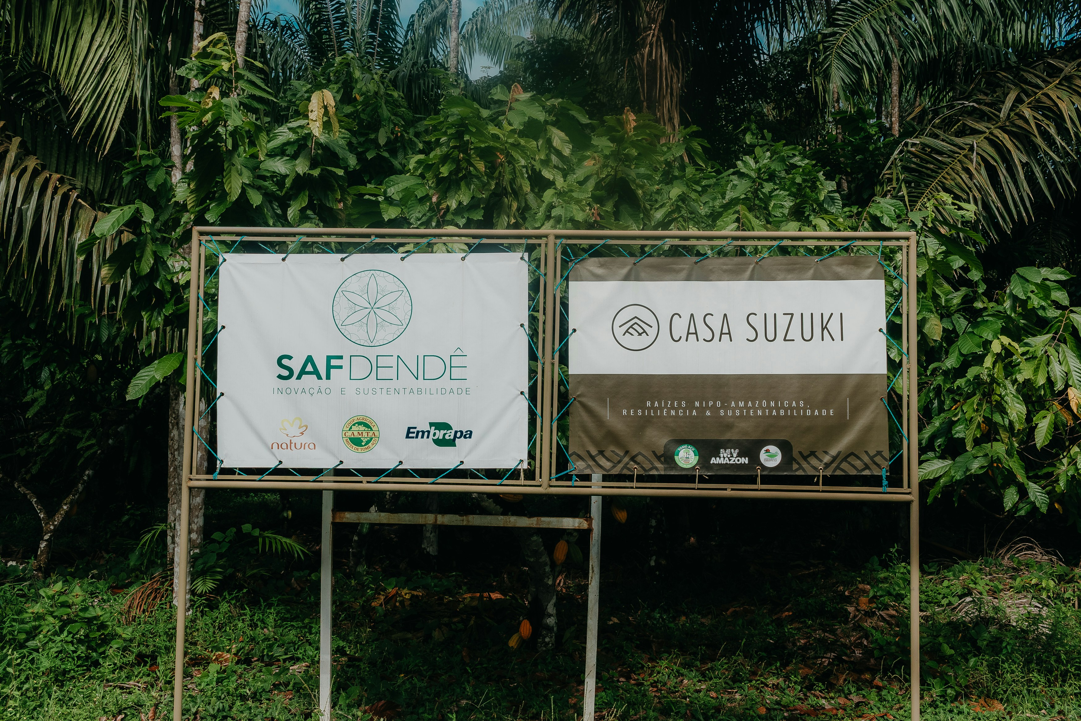 Bannered Waypoint: Signage Amid Tropical Foliage