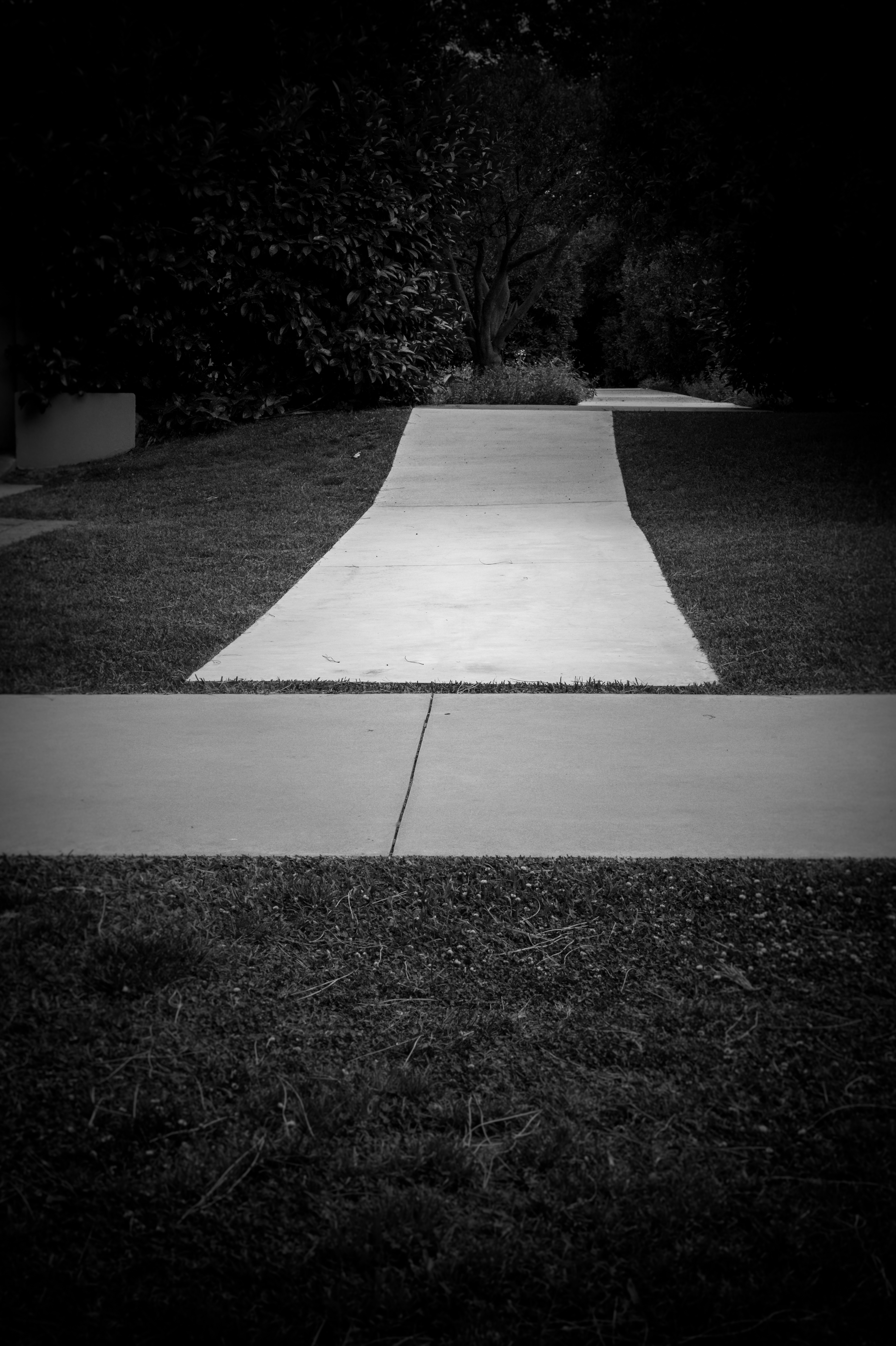 Intersecting concrete paths in a dark, grassy park.