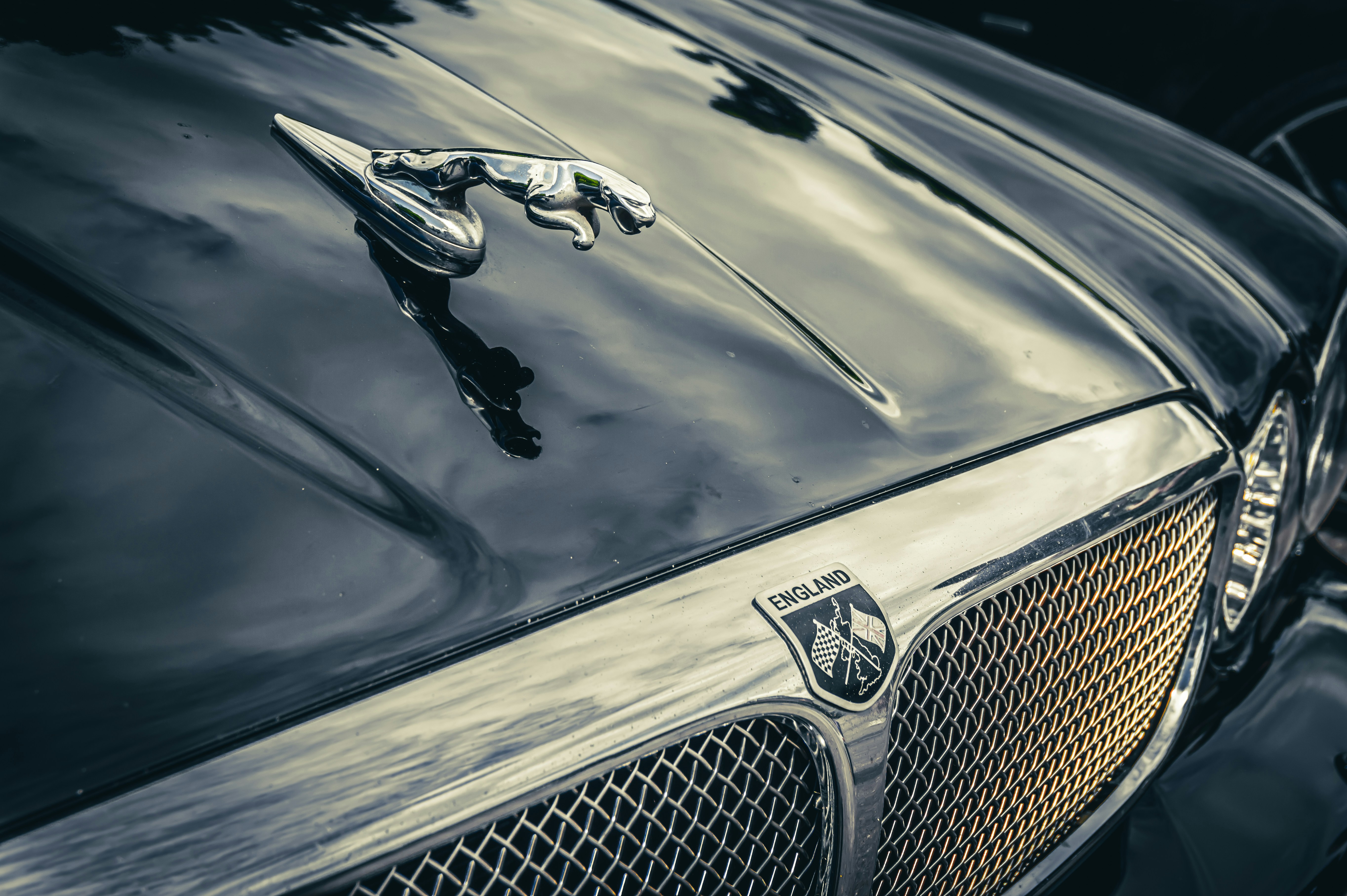 The leaping Jaguar hood ornament gleaming on a glossy black bonnet, with the chrome mesh grille and an "England" badge below. An iconic British mascot reflected in mirror-like paint.