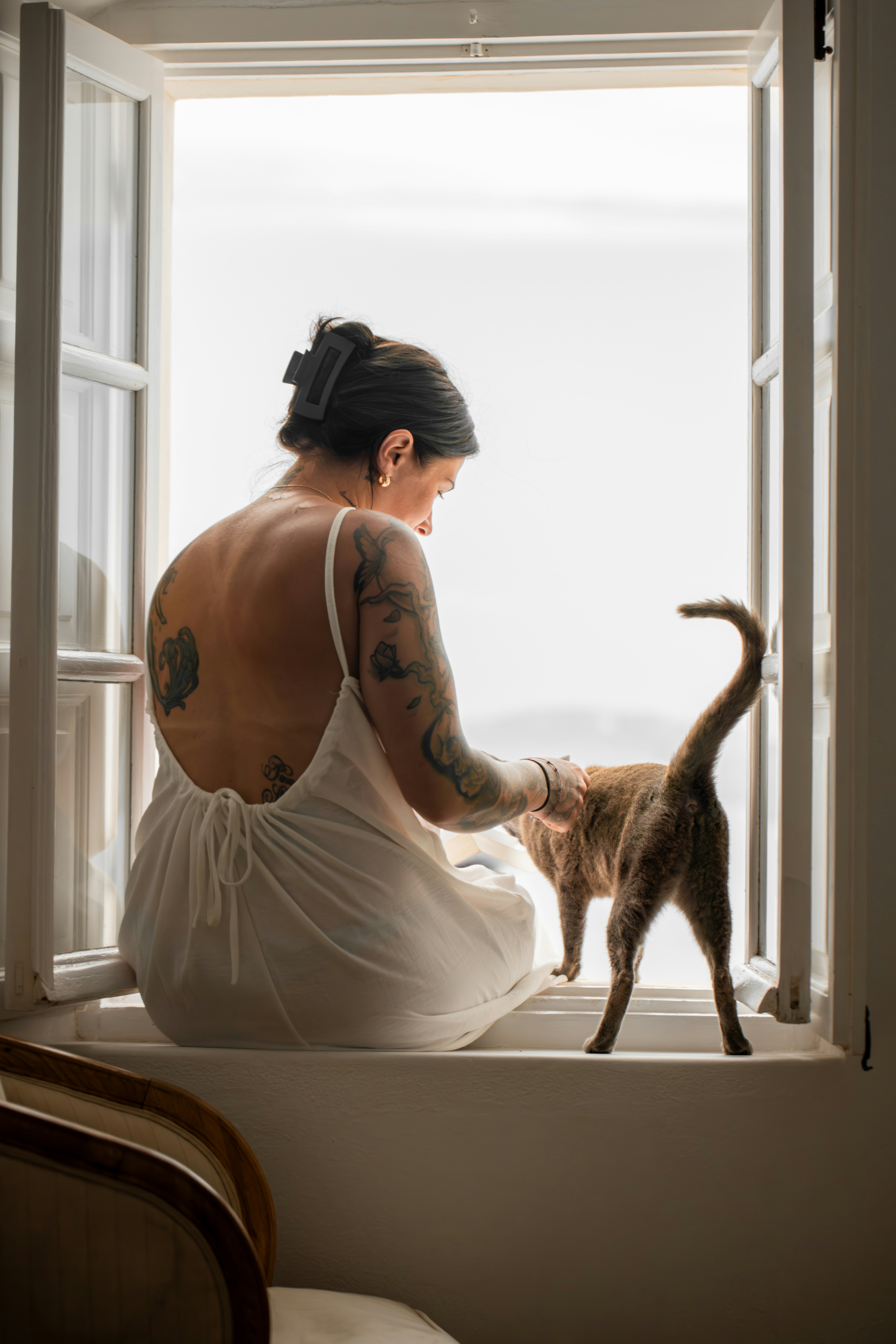 Window Seat with a Cat: Quiet Intimacy at the Threshold