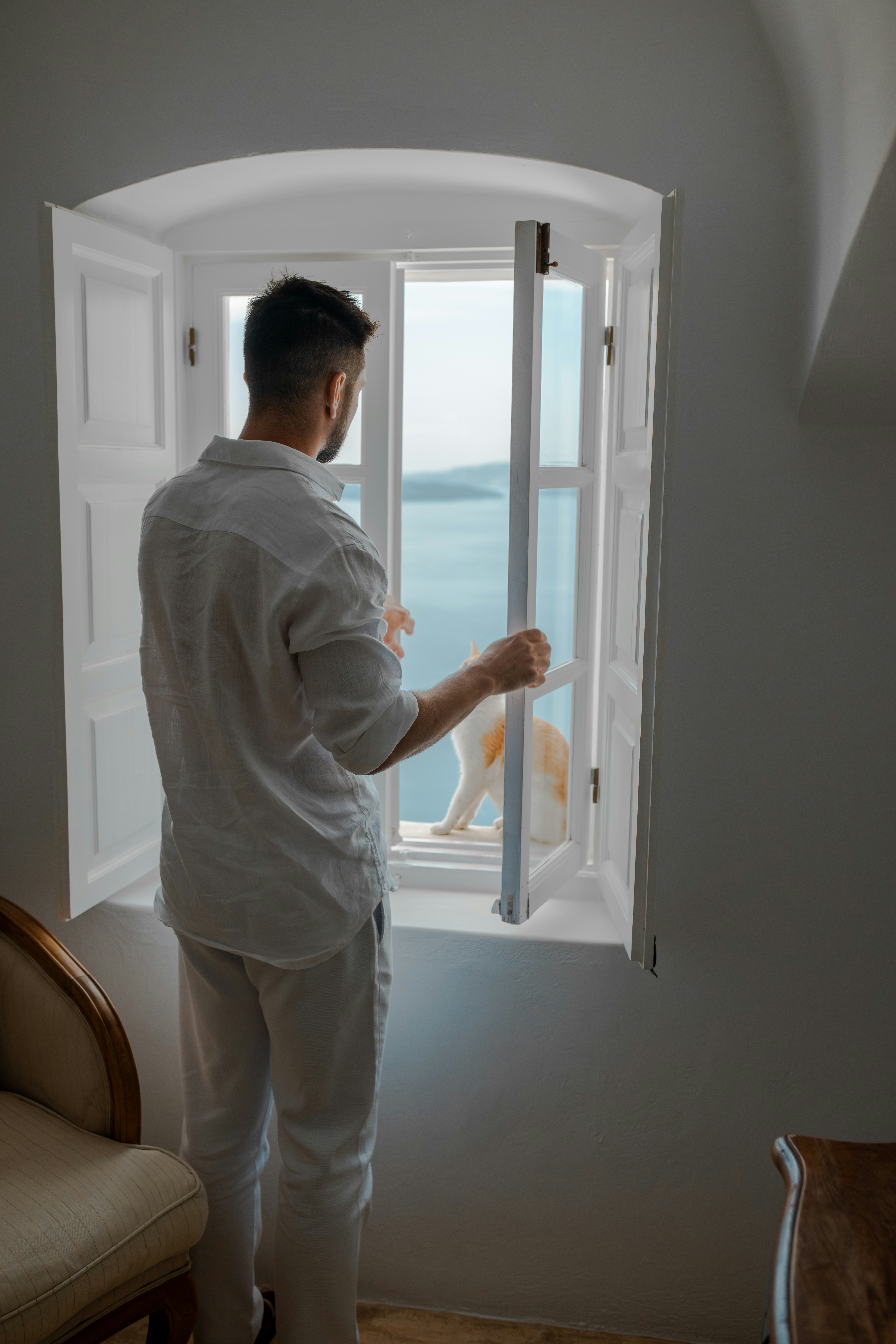 Window View: A Quiet Moment with a Cat at the Threshold