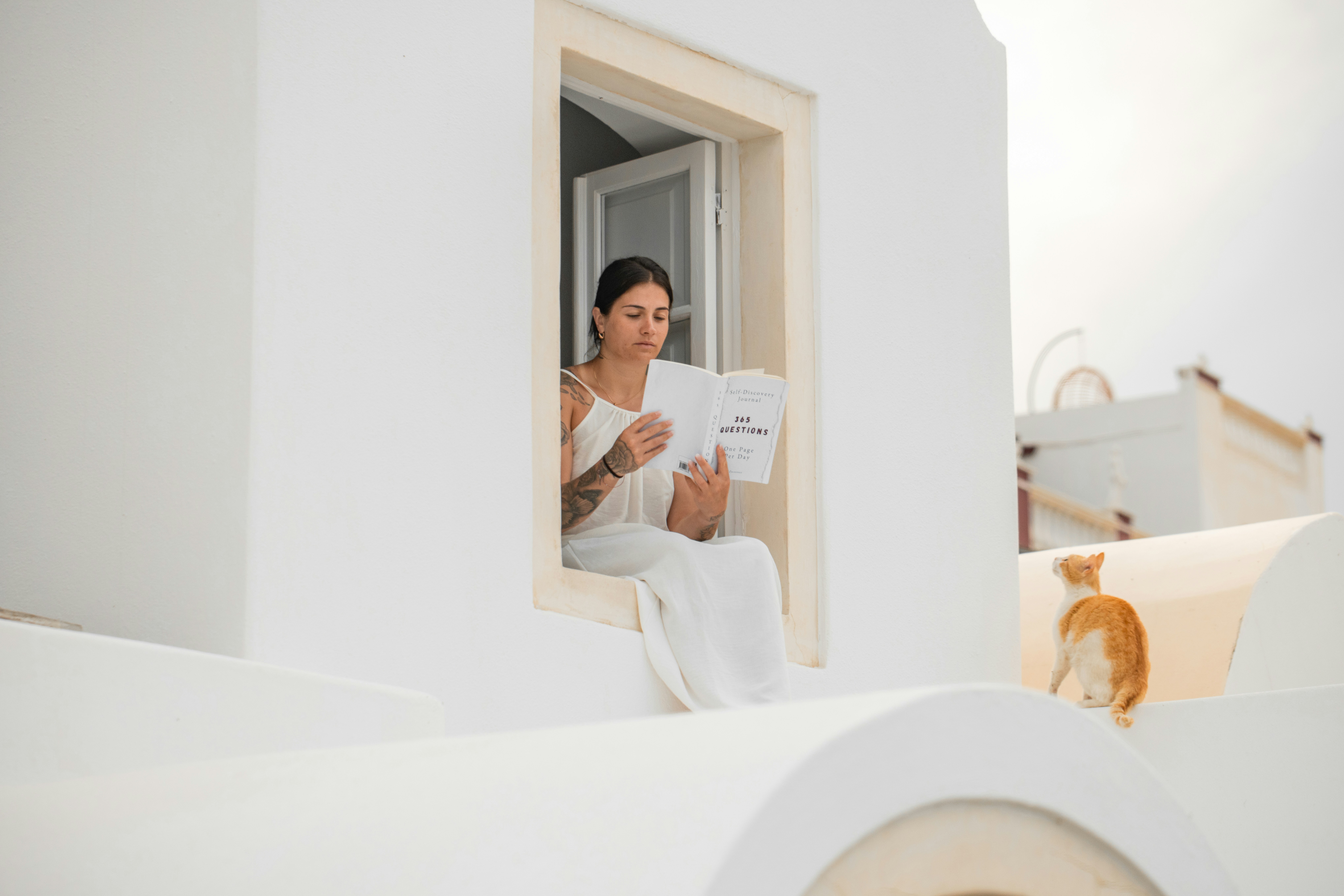 Quiet Morning Reader in a Sunlit White Terrace Window