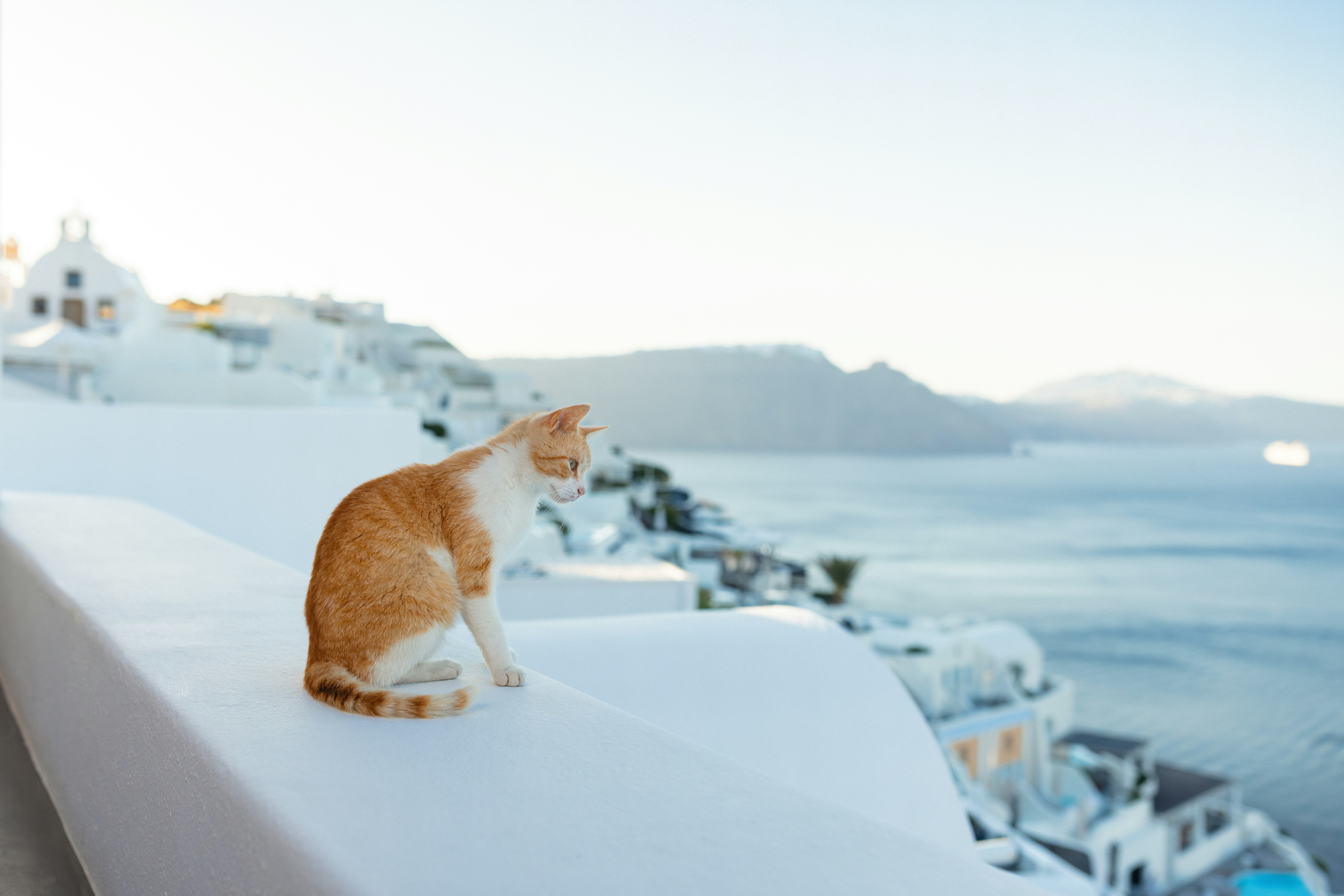 How To Book This Santorini Hotel: https://www.atrinasantorini.com/