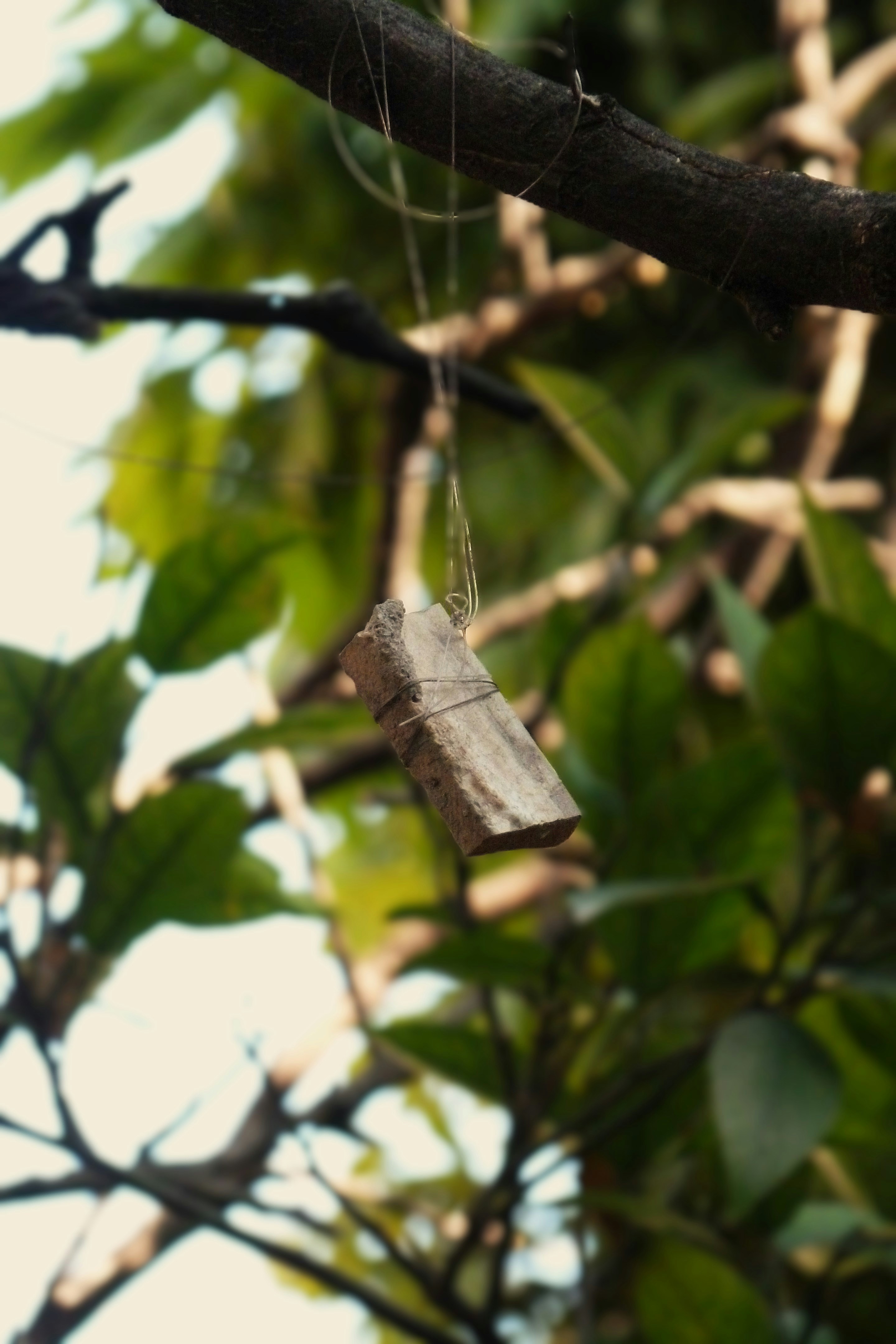 Hanging Wood Block: Delicate Cordage and Sunlit Blur