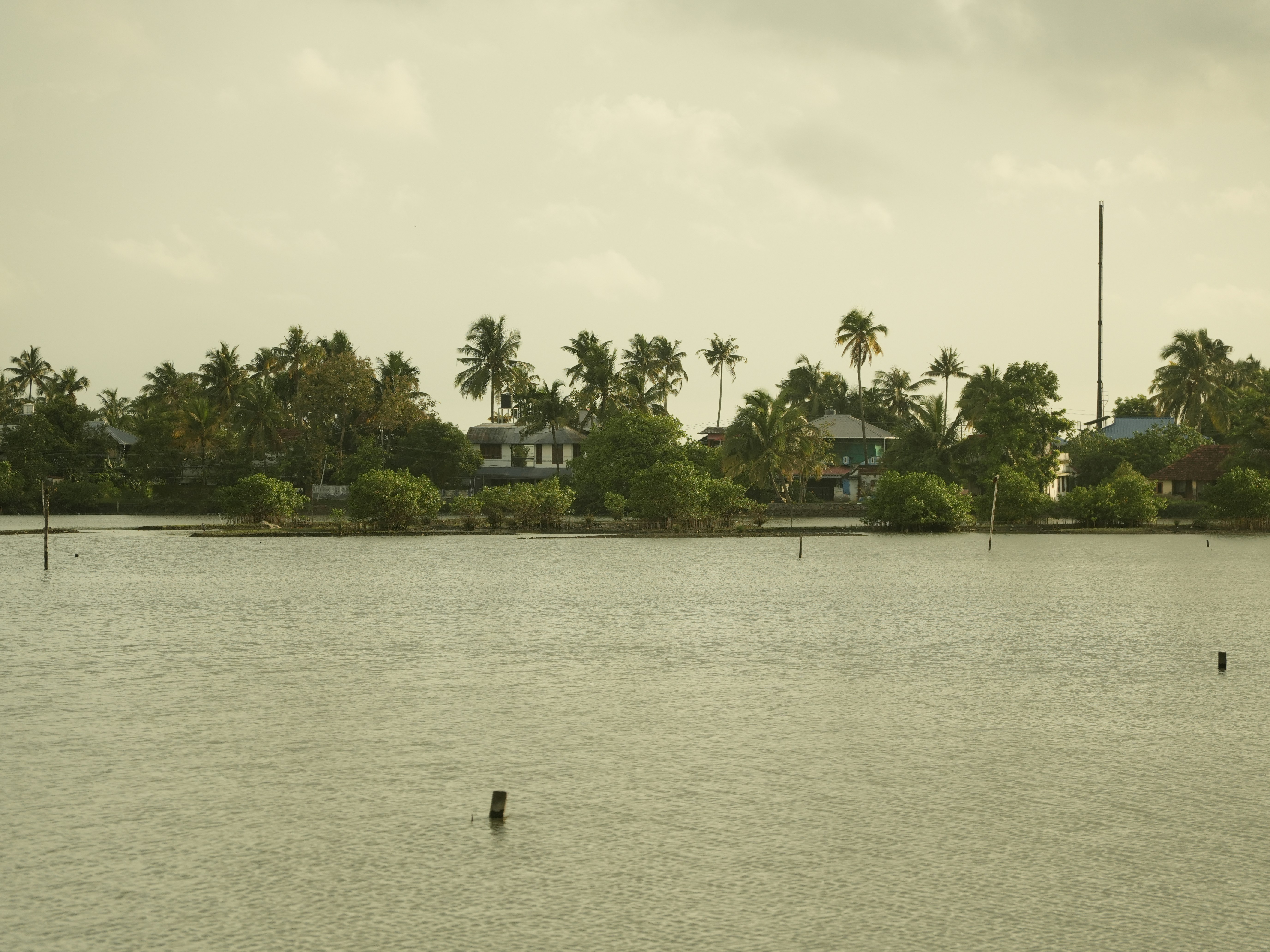 Coastal Suburb Speaks in Quiet Lines