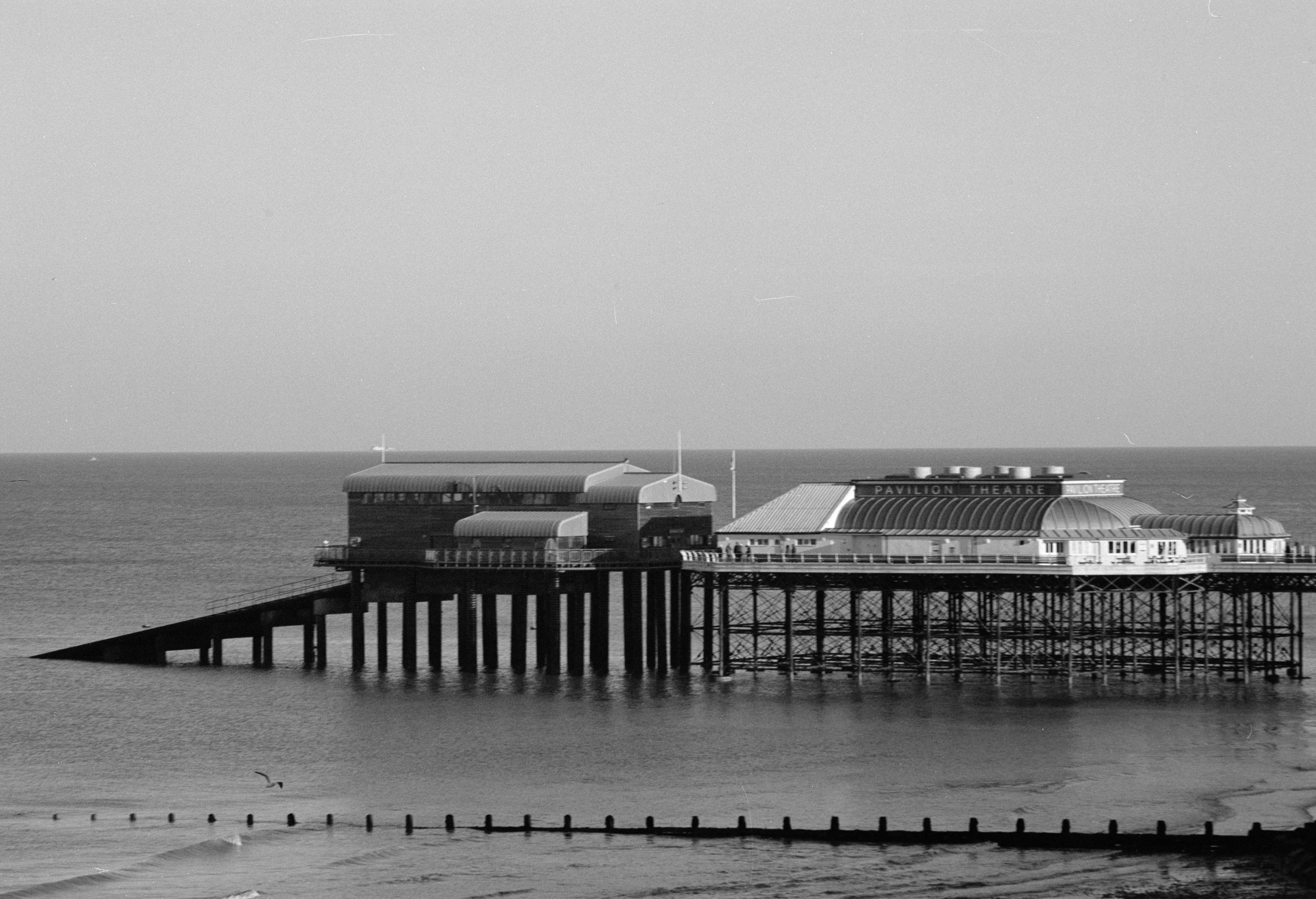 Pier Complex: Quiet Horizon Over a Seaside Platform