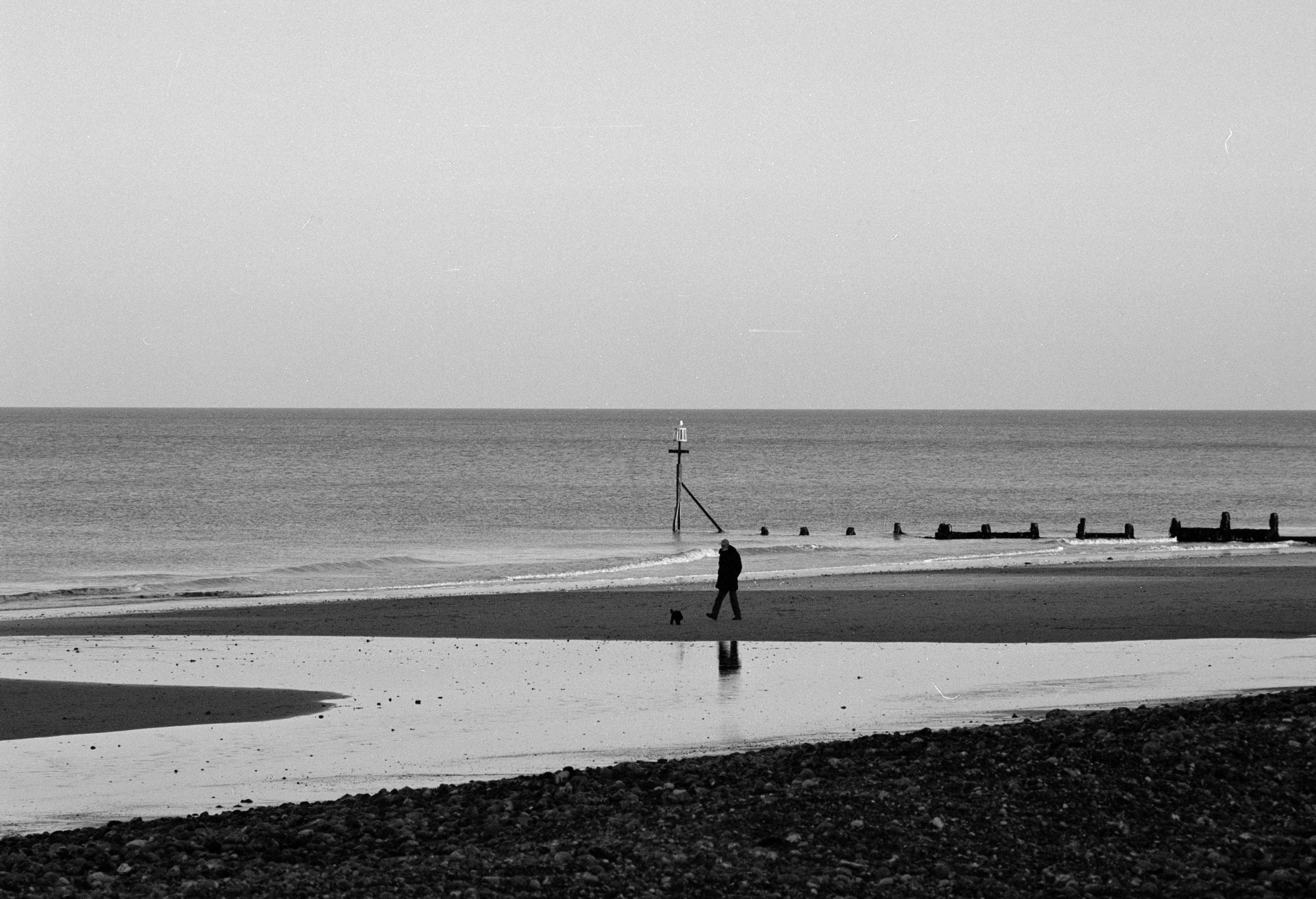 Lone Silhouette by the Tidal Line
