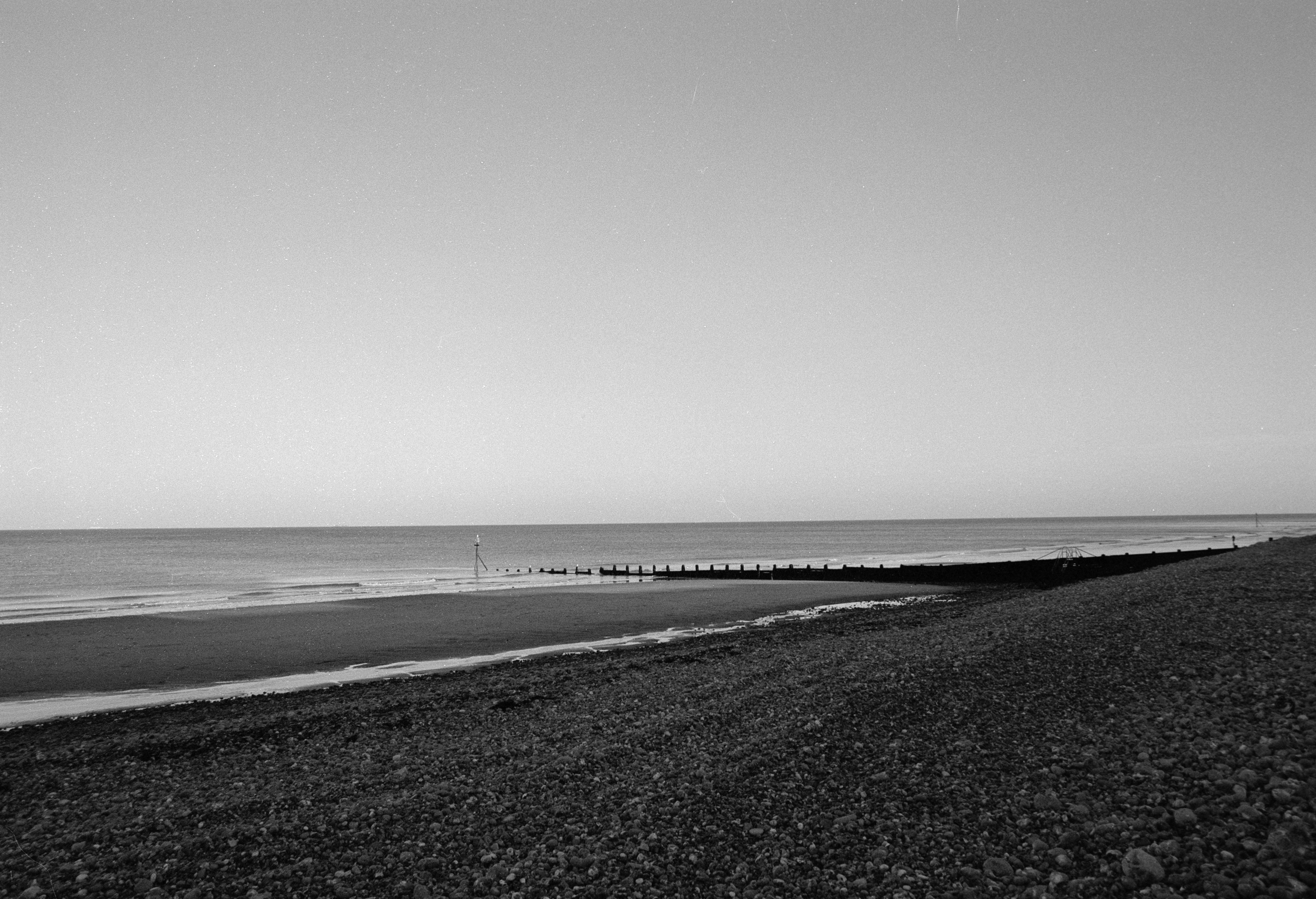 Pebble Beach Horizon in Quiet Gray Light