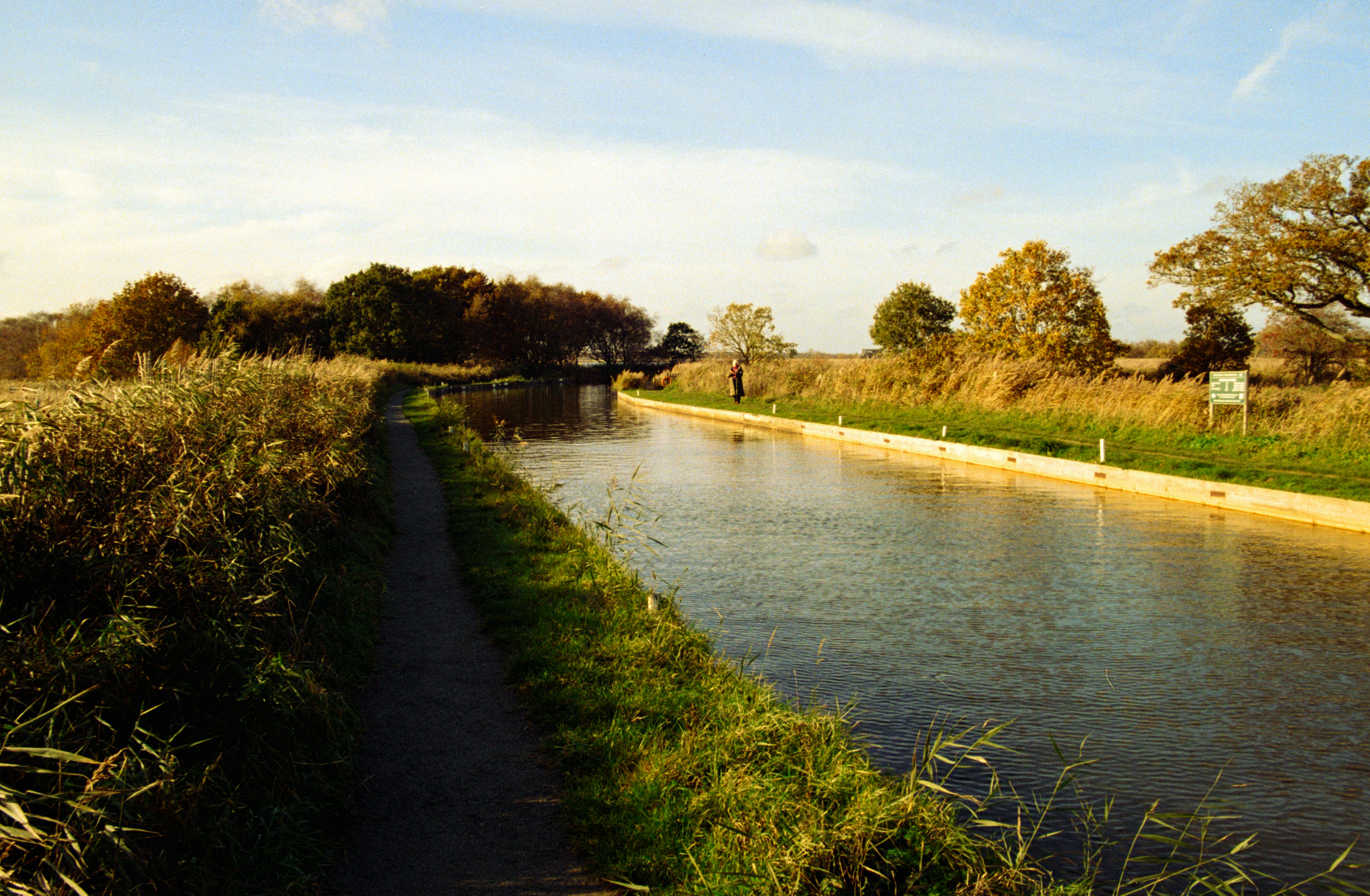 Sunlit Canal Path Through Herbal Banks