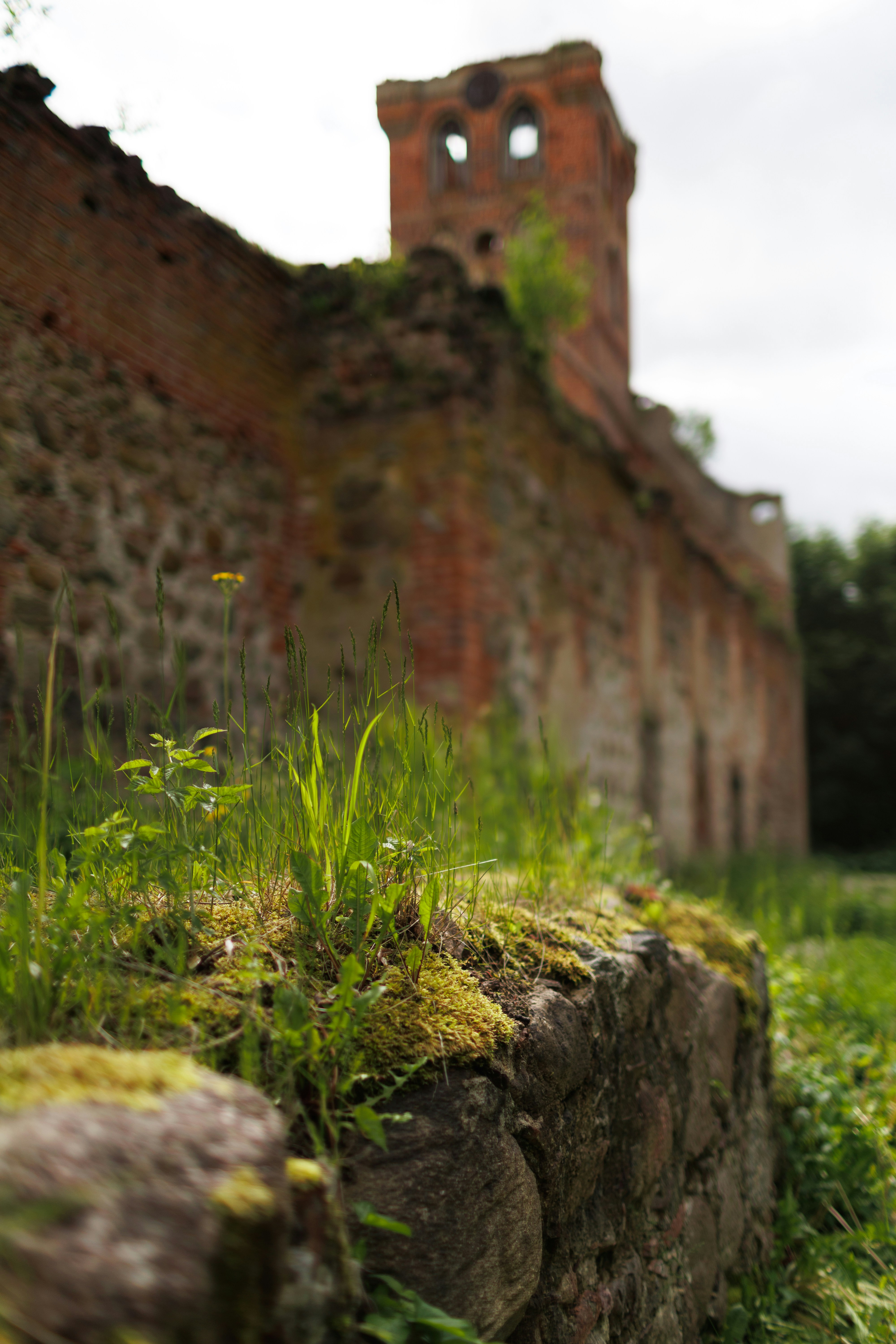 Ruinous Brick Chapel Reclaimed by Greenery