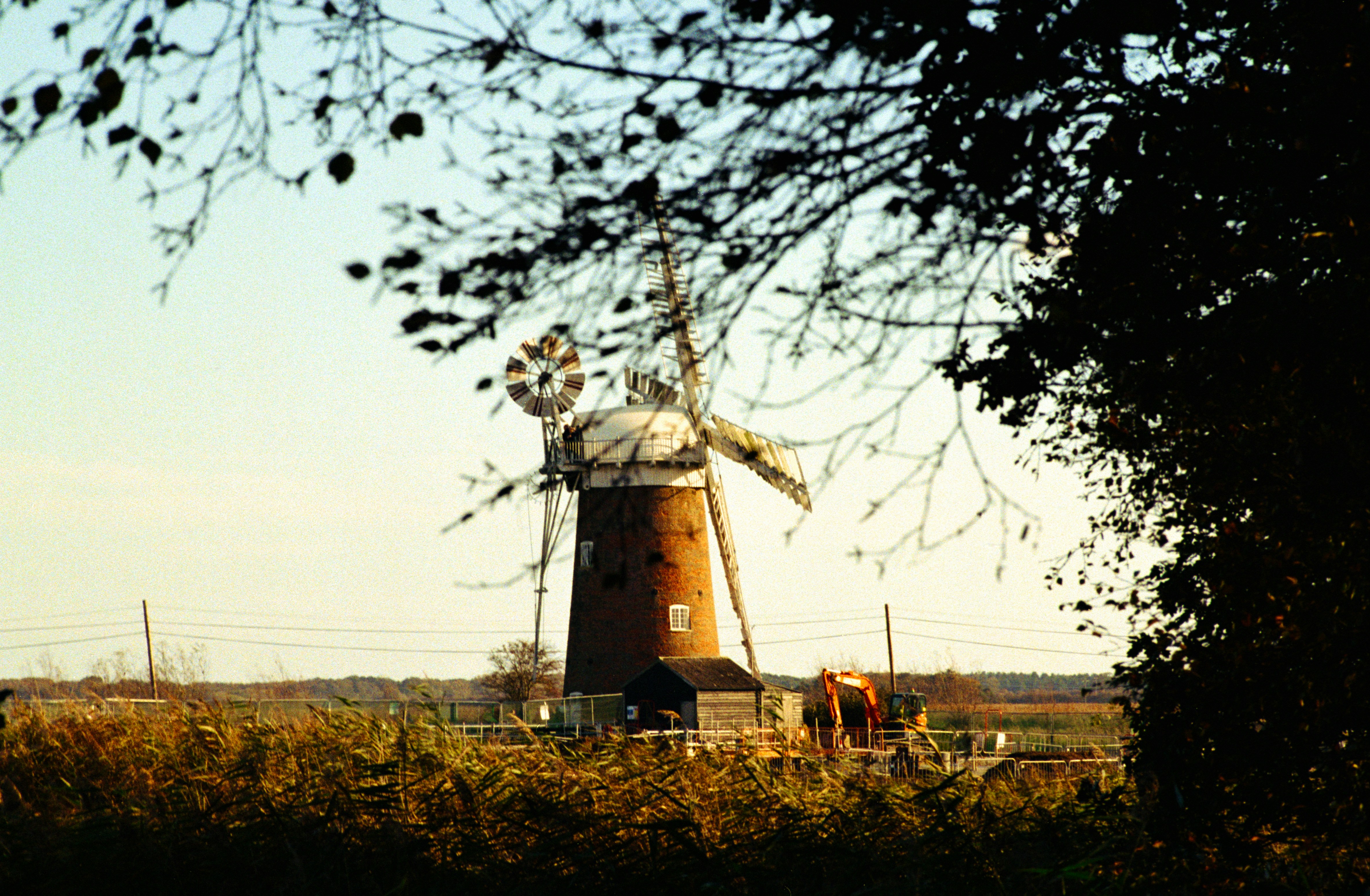 A traditional brick windmill framed by silhouetted branches glows in warm low evening light.