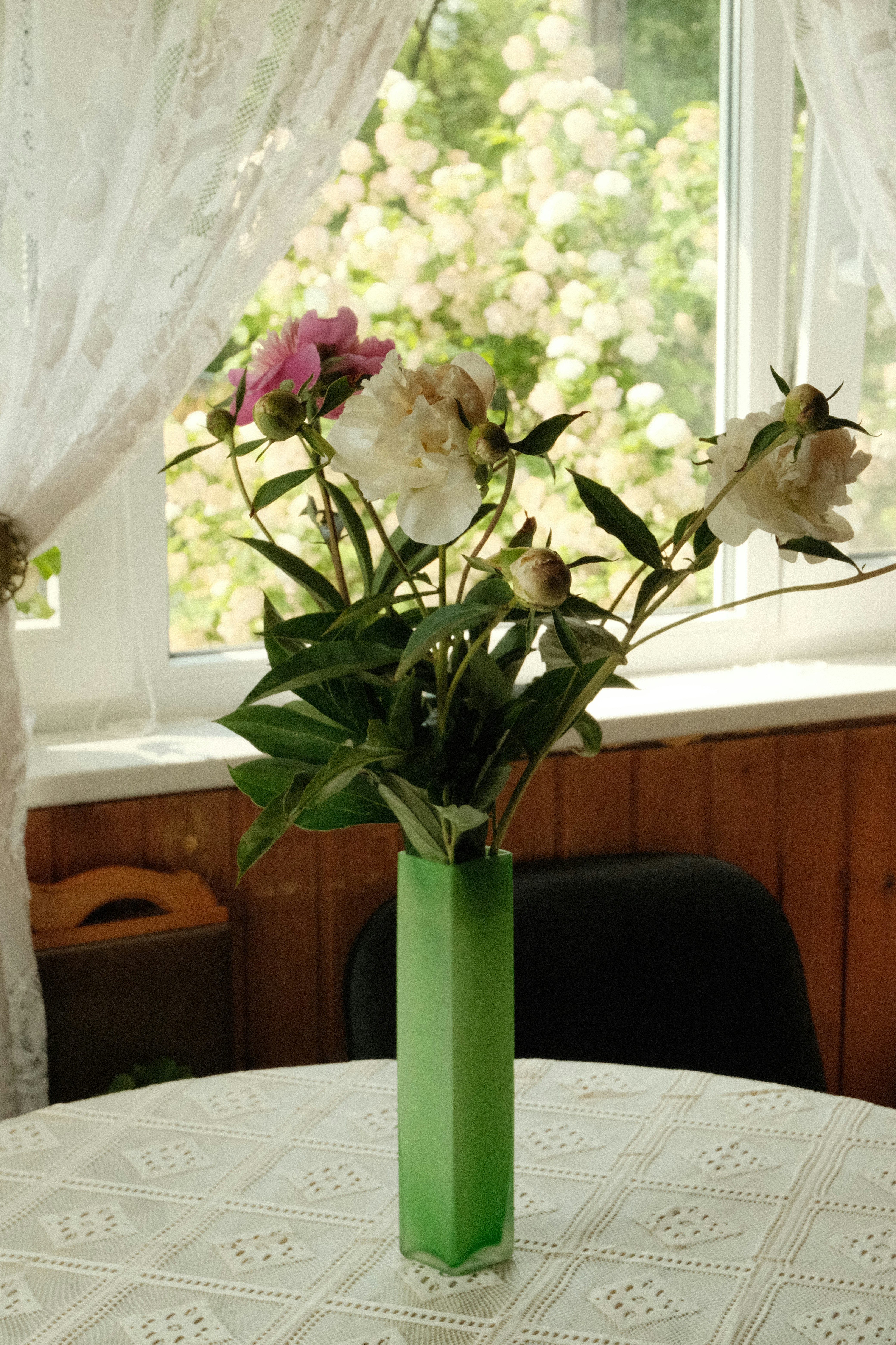 Vase of Peonies by the Sunlit Window