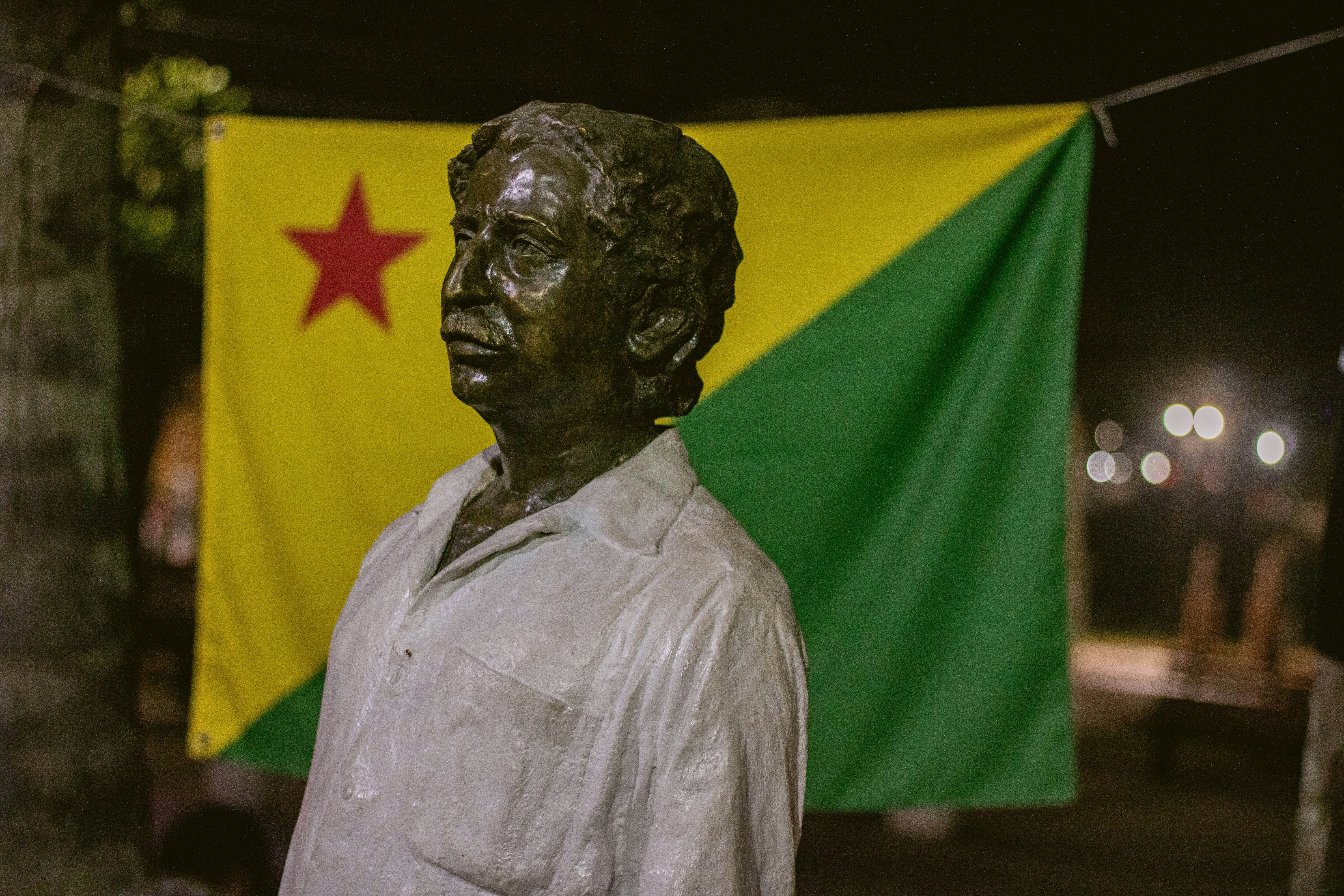 Bronze Portrait Beneath a Flag of Senegalese Night