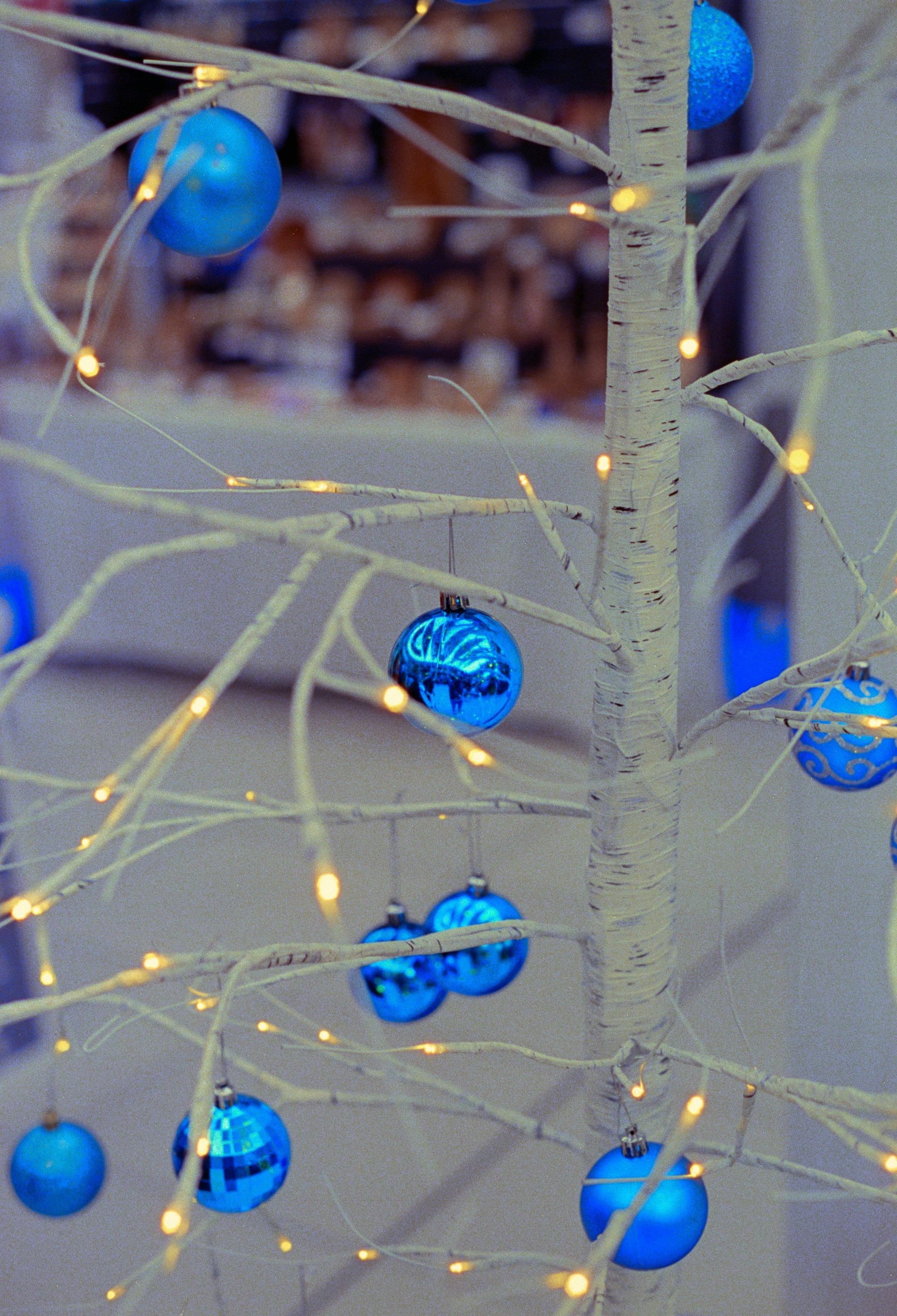 Blue glass ornaments and warm fairy lights hang from a white birch display tree.