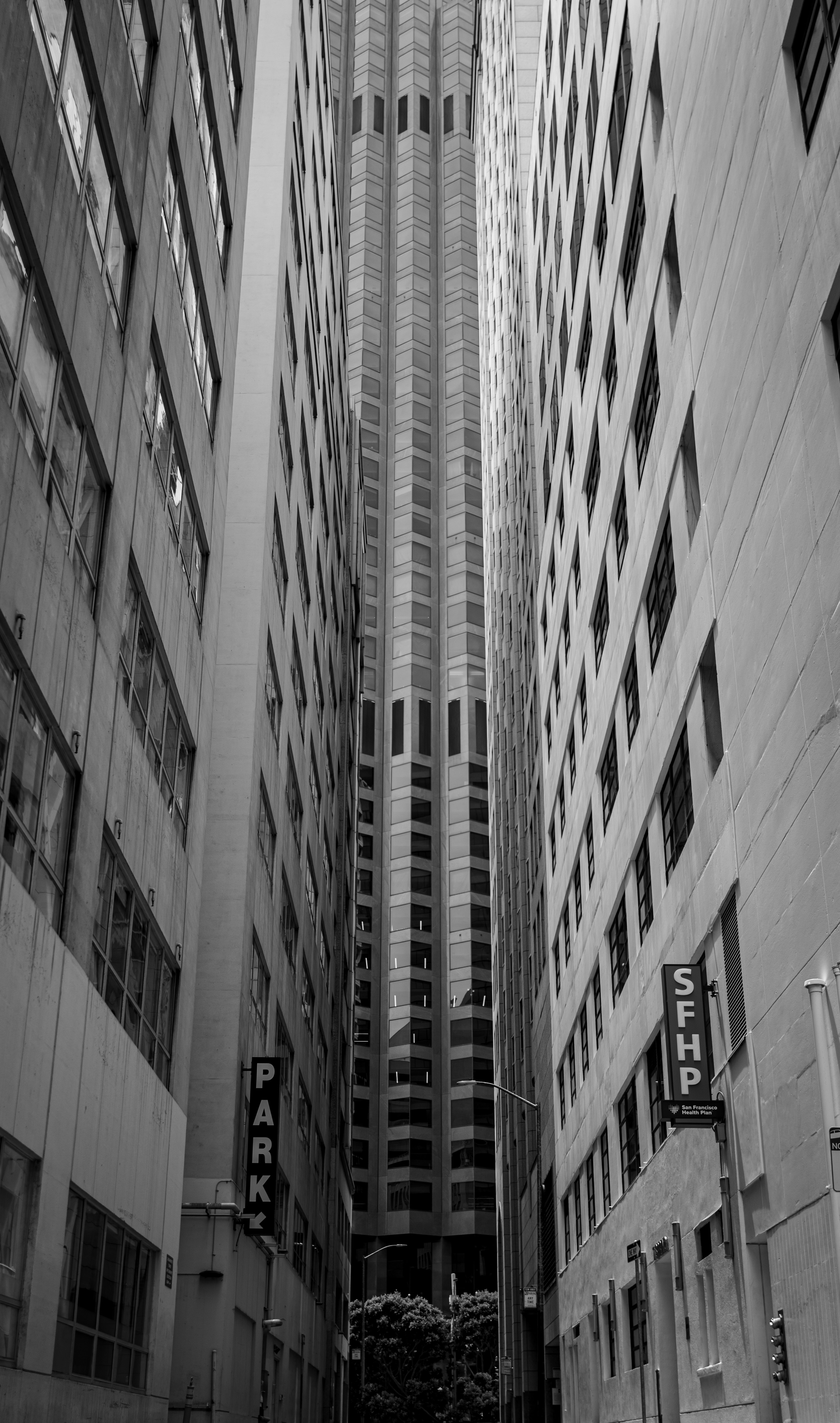 Canyons of Concrete: Narrow Alleyway Framed by Skyscrapers