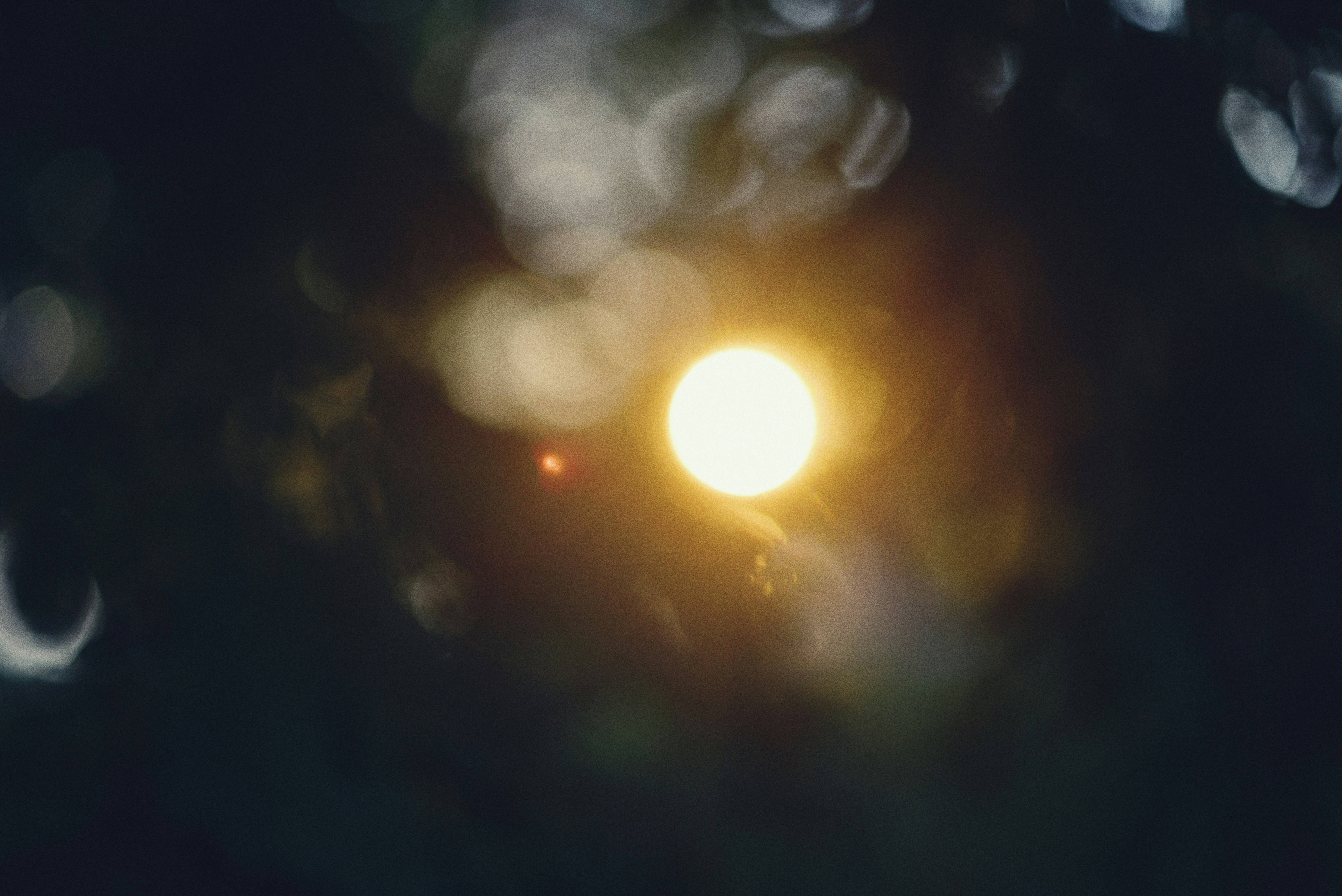 Sunlit Orb in a Hazy Forest Afterglow
