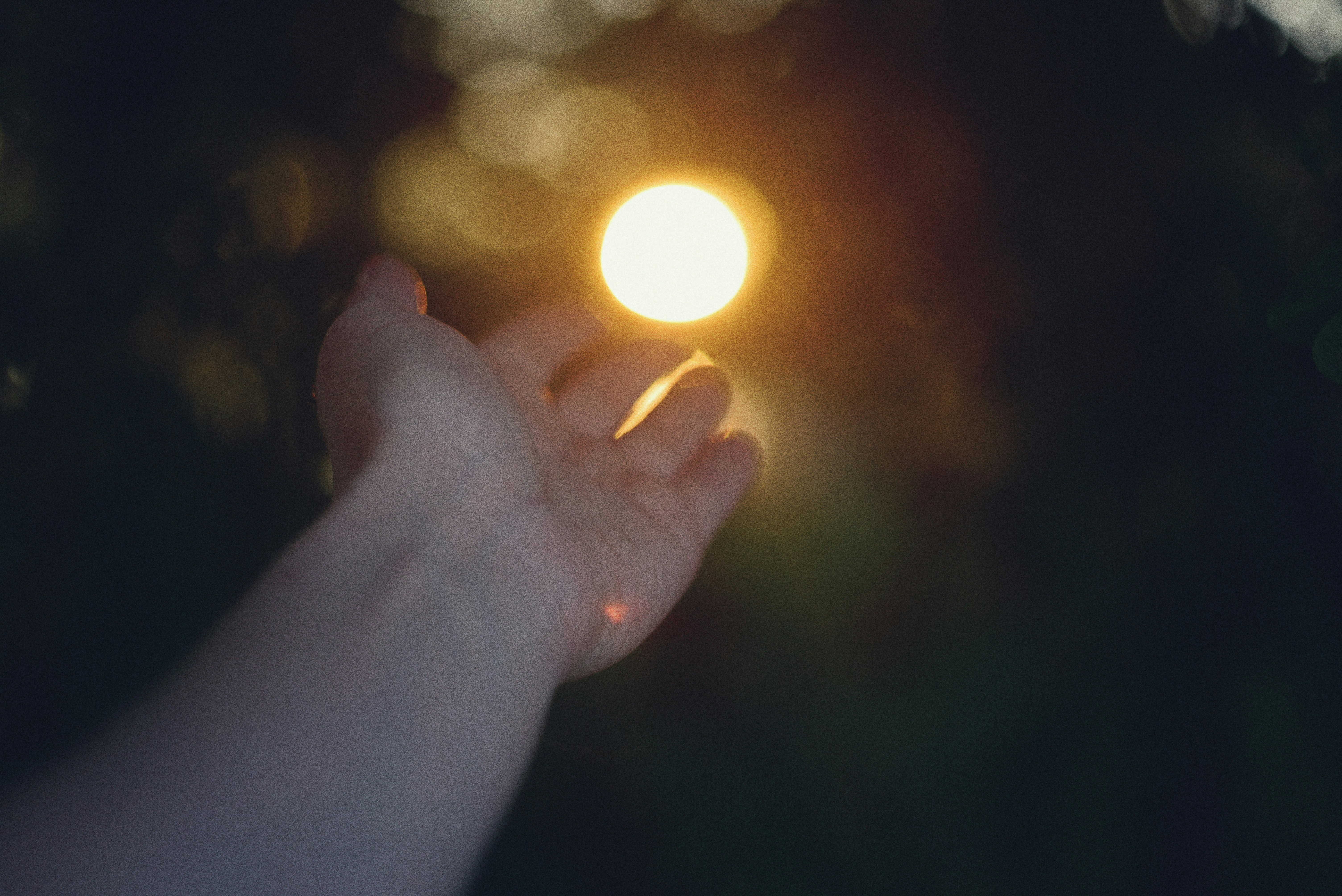 Caught Moment: Reaching for a Sunlit Spark