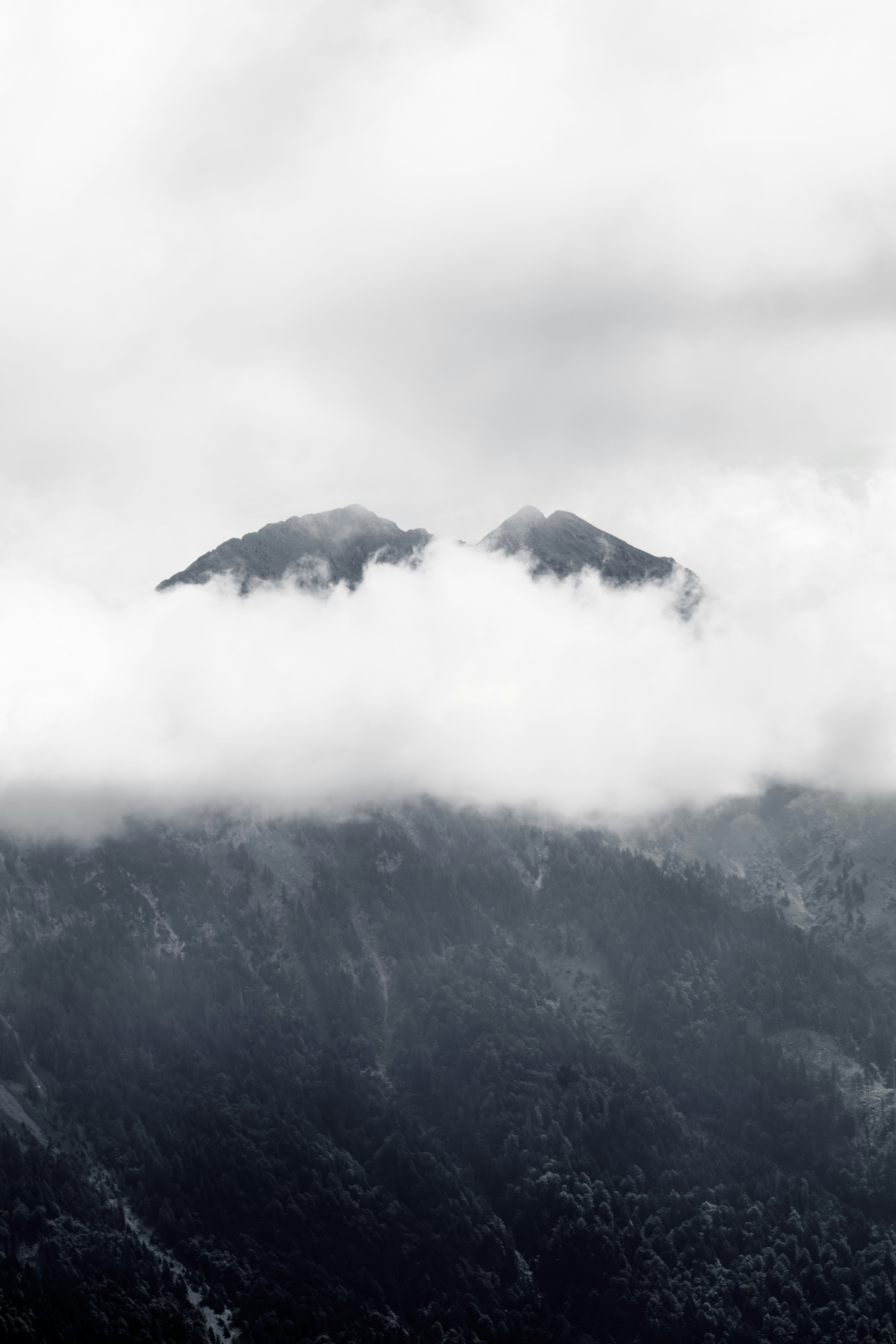 Peak Emergence: Clouds Brush the Summit