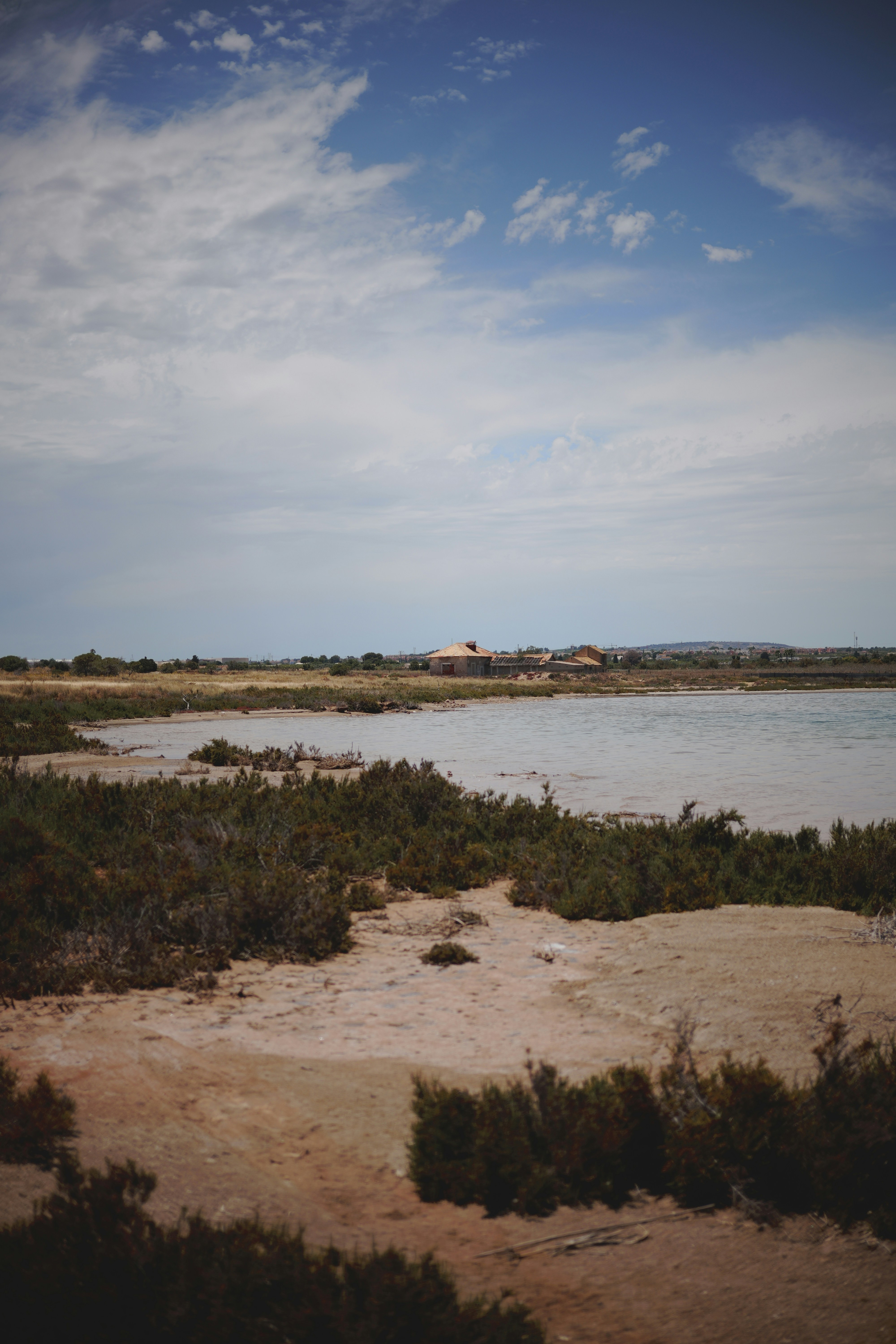 Deserted shoreline at midday: distant houses across a calm inlet