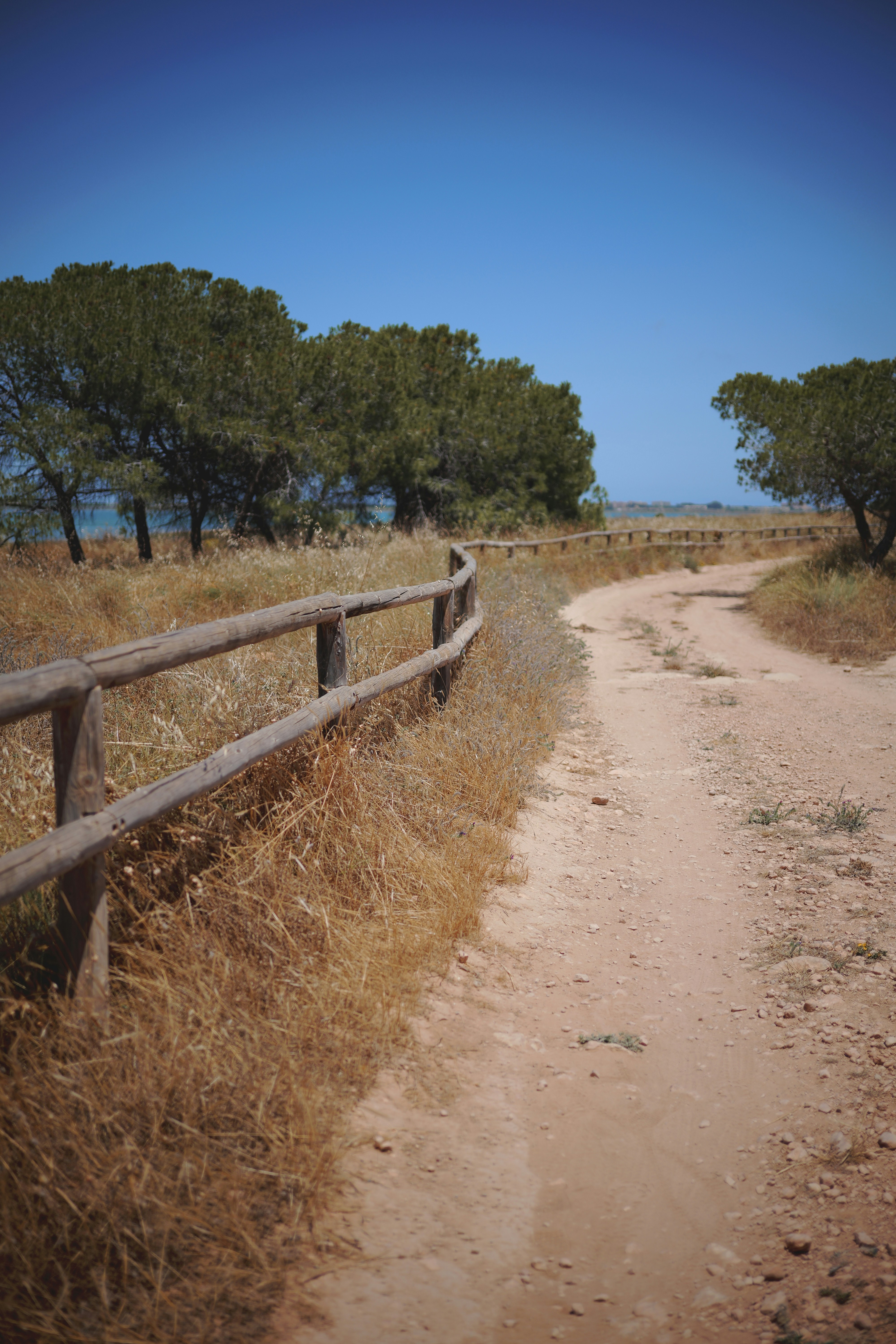 Dusty Path Framed by Weathered Rails Under a Clear Coastal Sky