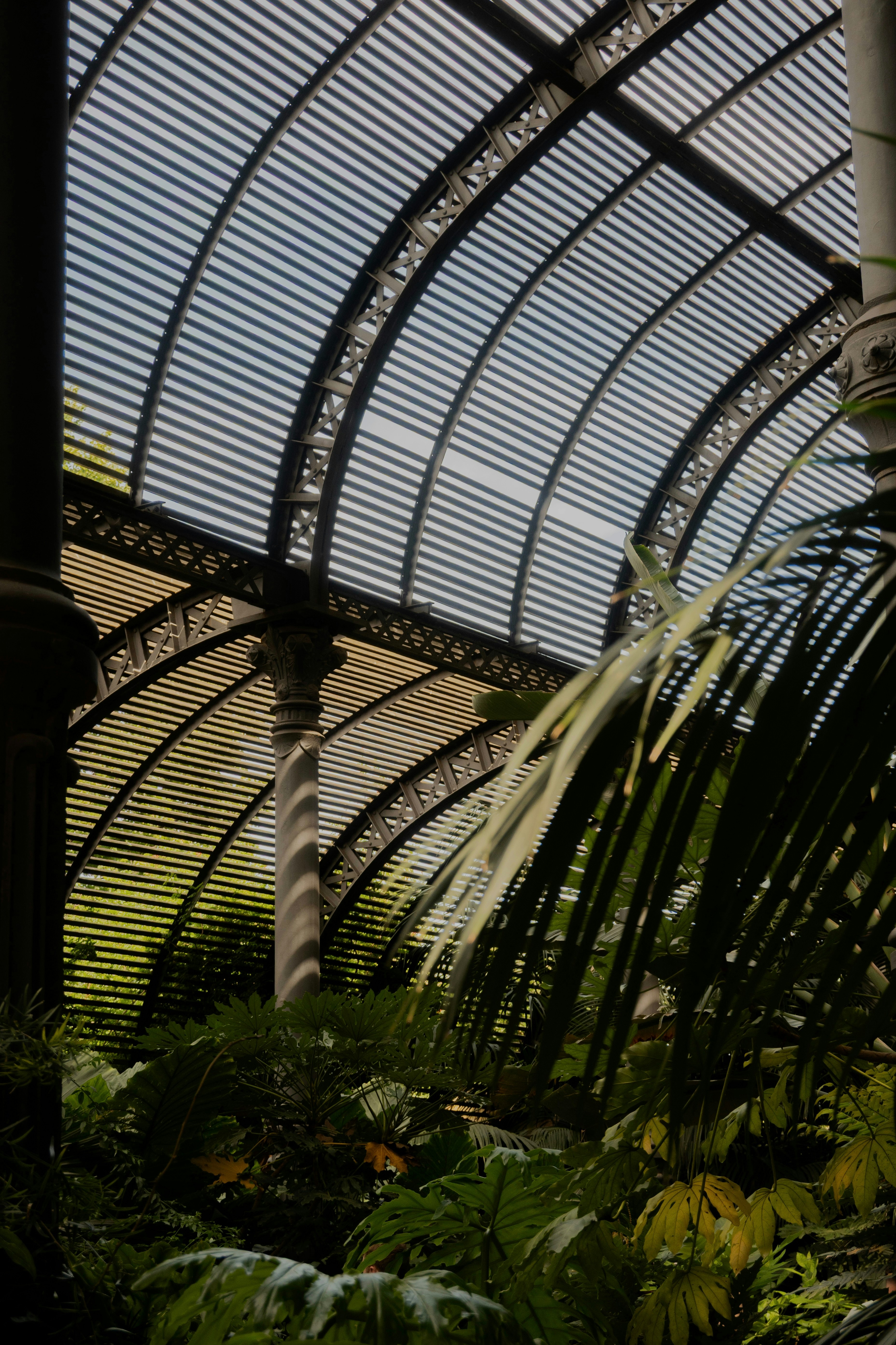 Arched Glasshouse Corridor Framed by Lush Foliage