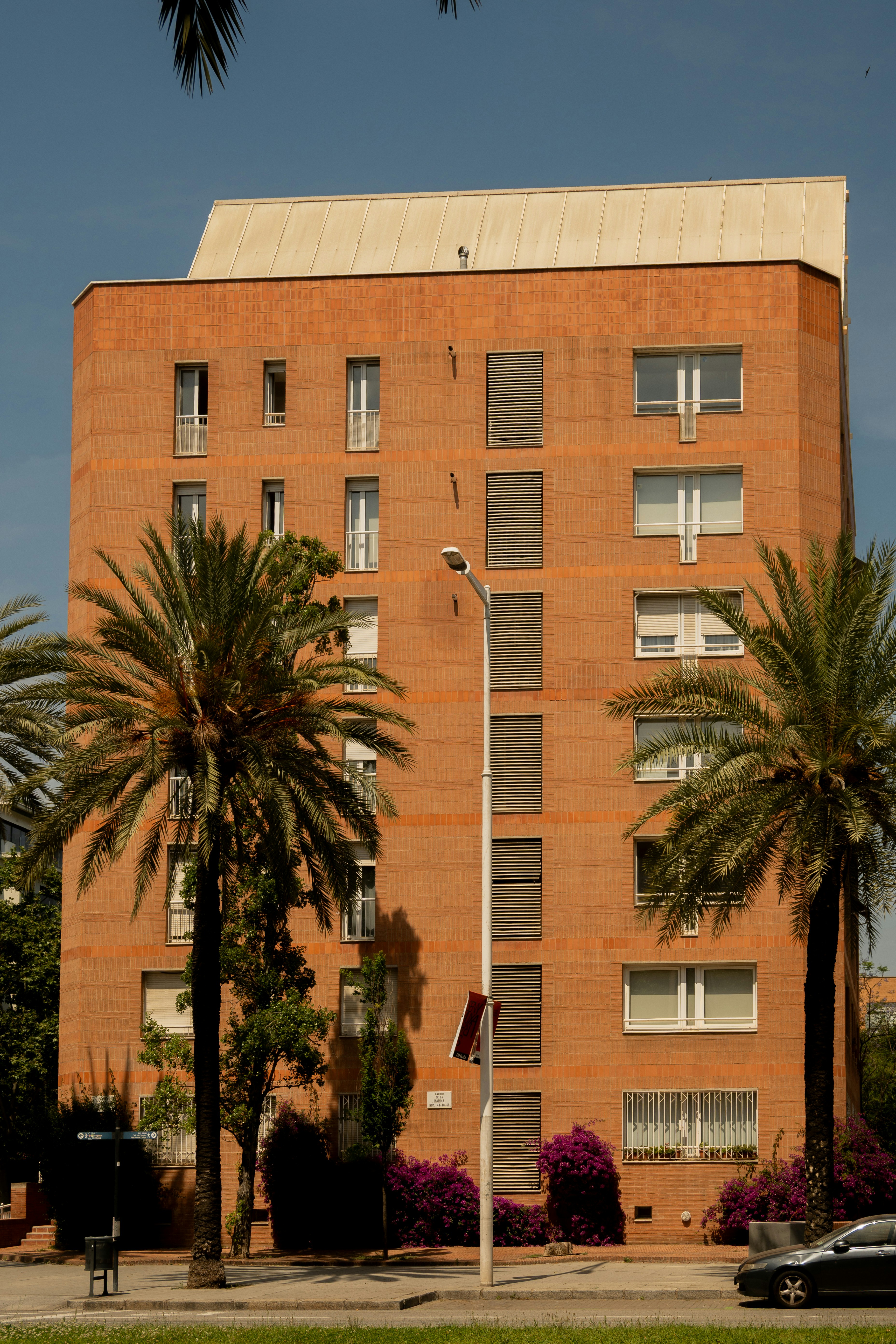 Brick Facade with Palm Fronds: Urban Quiet and Sunlit Symmetry