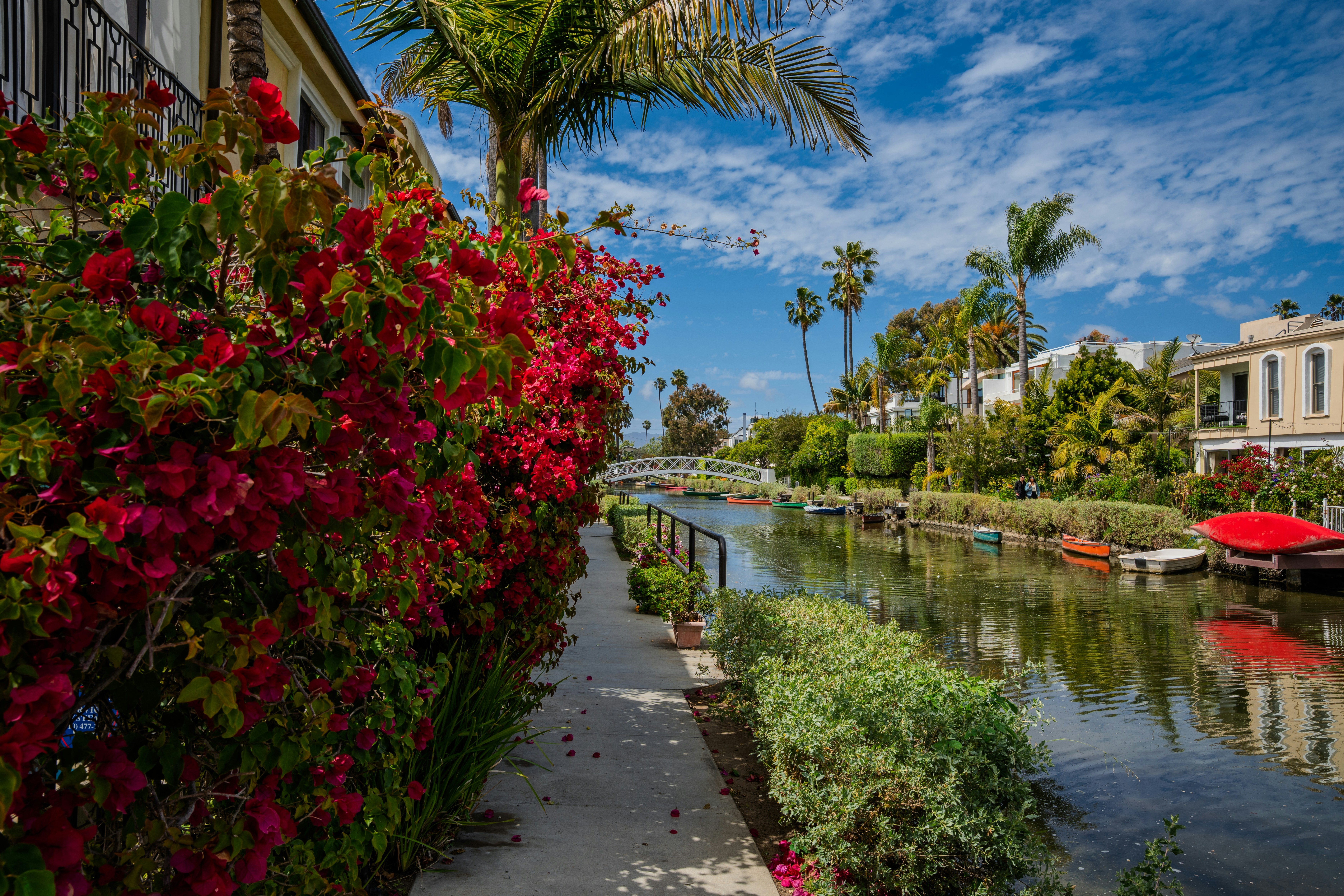 Sunlit Canal Walk with Bougainvillea and Riverside Homes