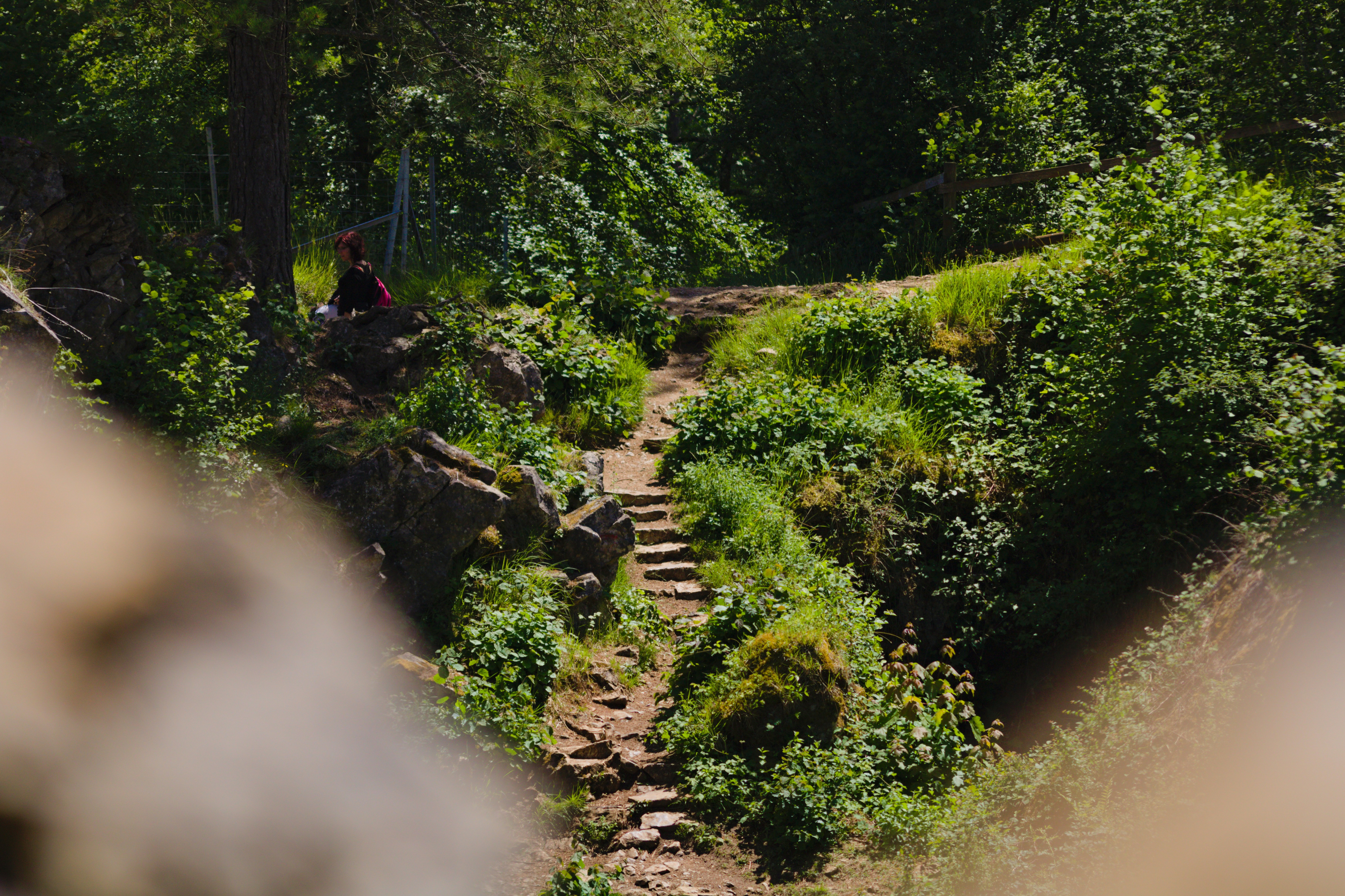 Hidden Trail by the Green Wall