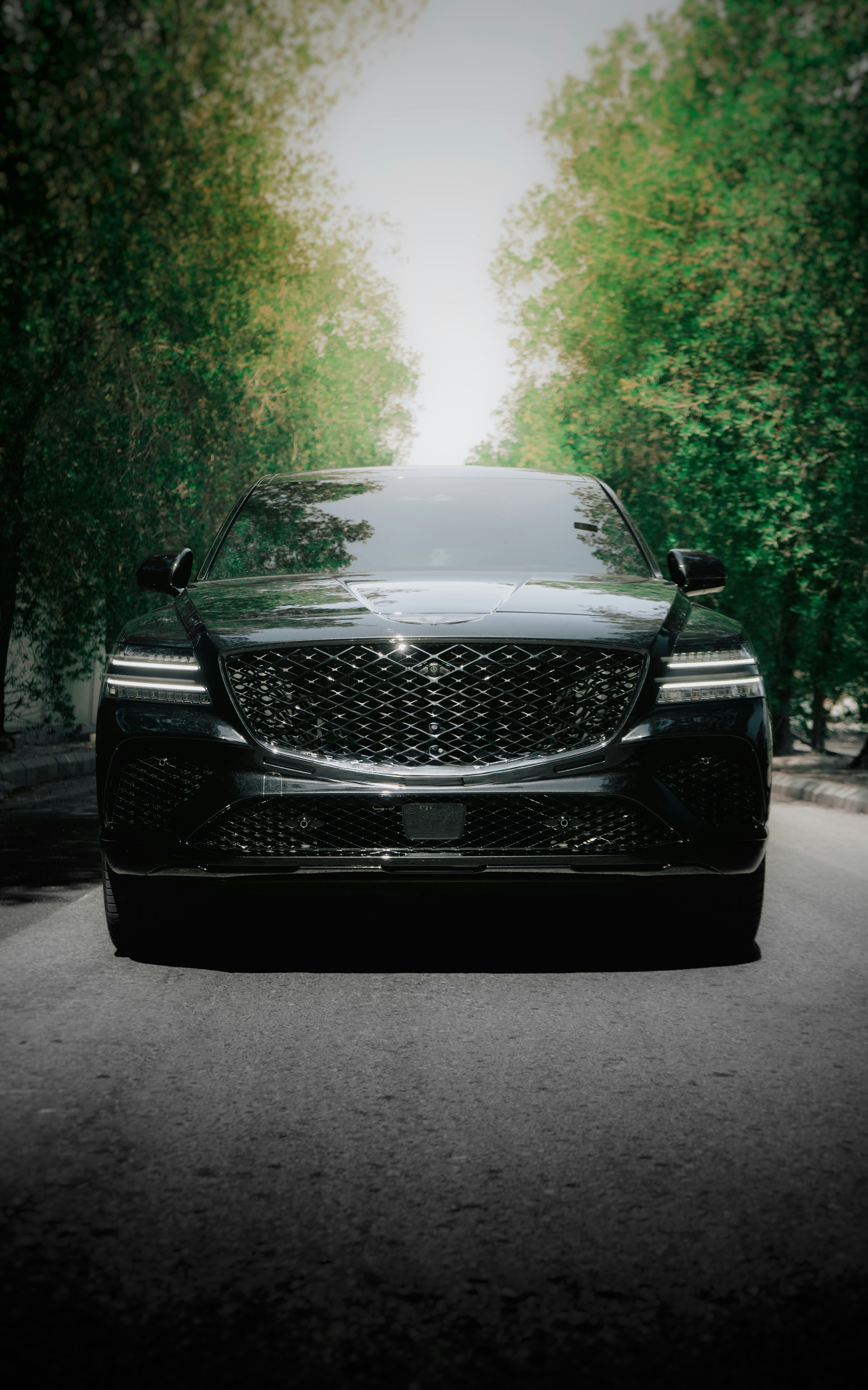 Sleek black car driving down a tree-lined road.