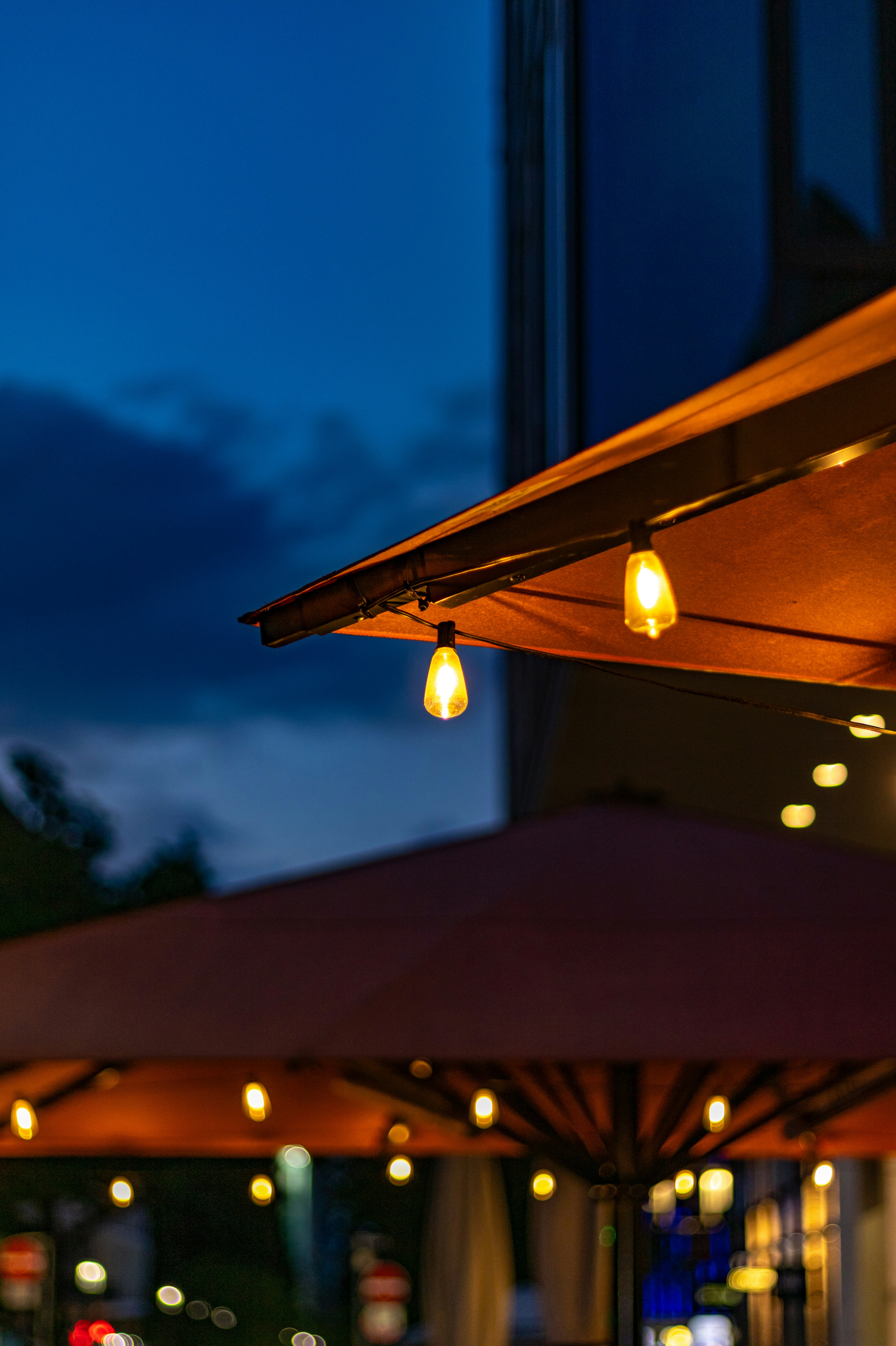 Warm Glow Under the Evening Canopy