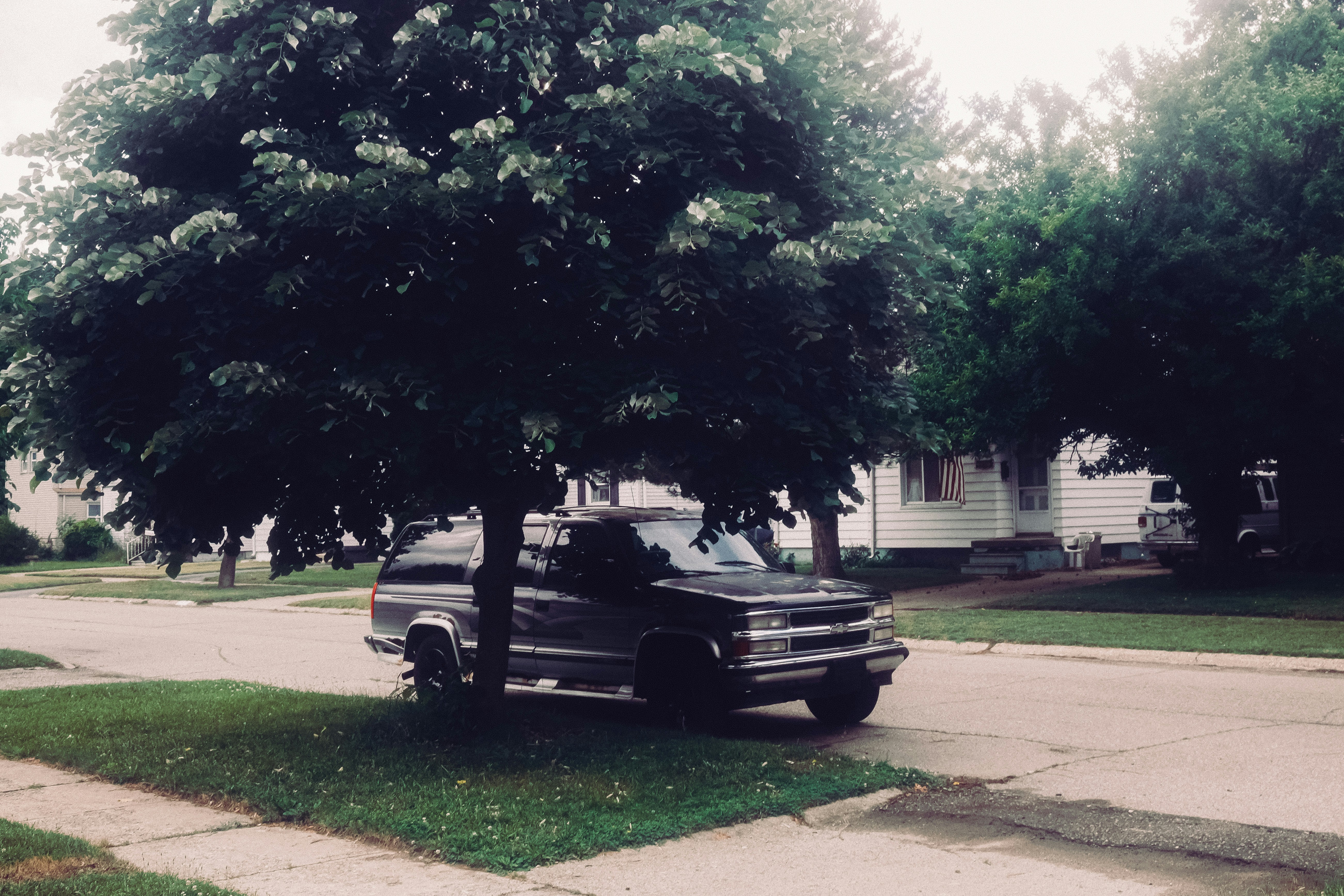 Pickup truck parked under a tree on a suburban street. photo – Free Car ...