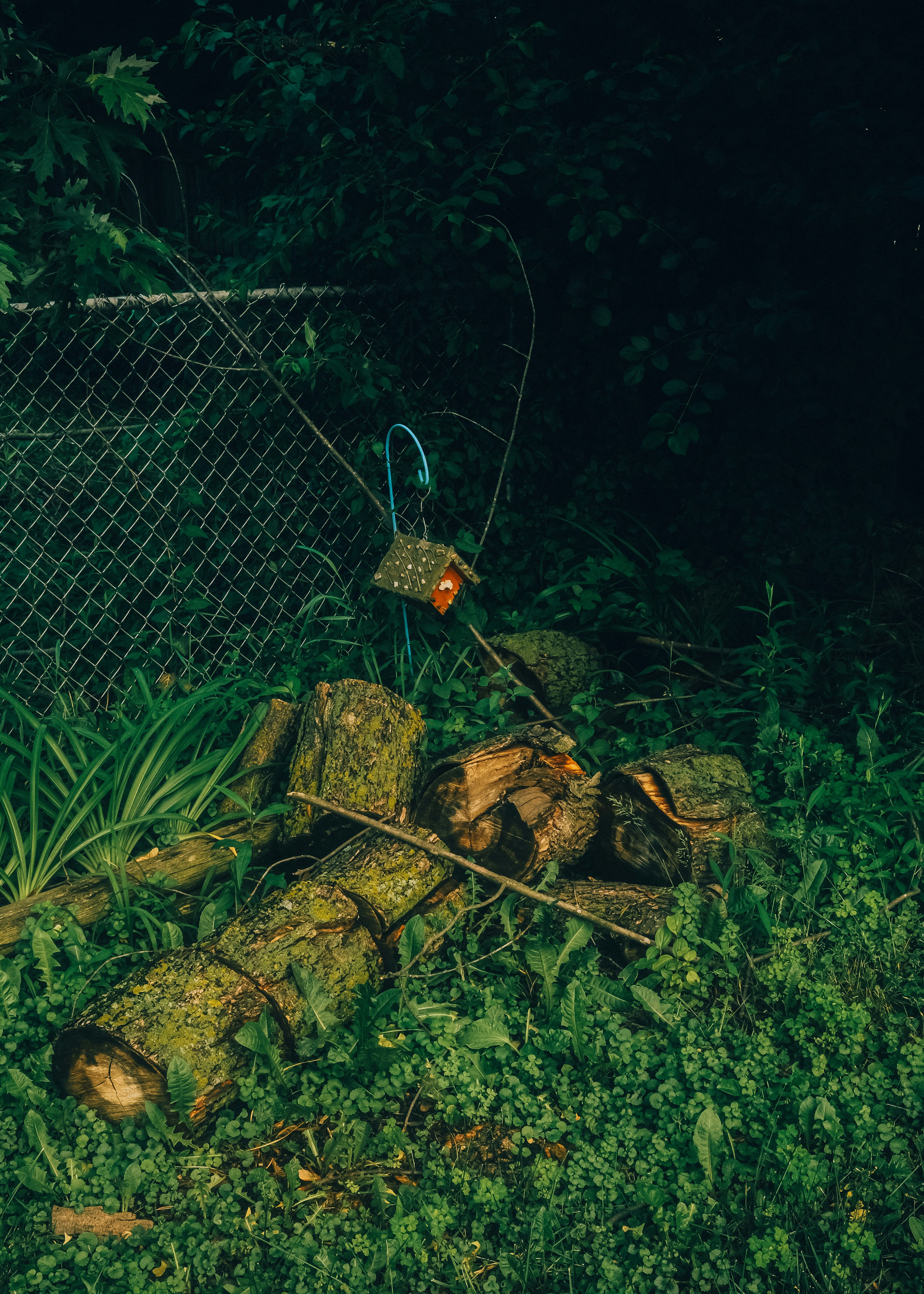 Locks and Logs: Quiet Corner by the Chain-Link Gate