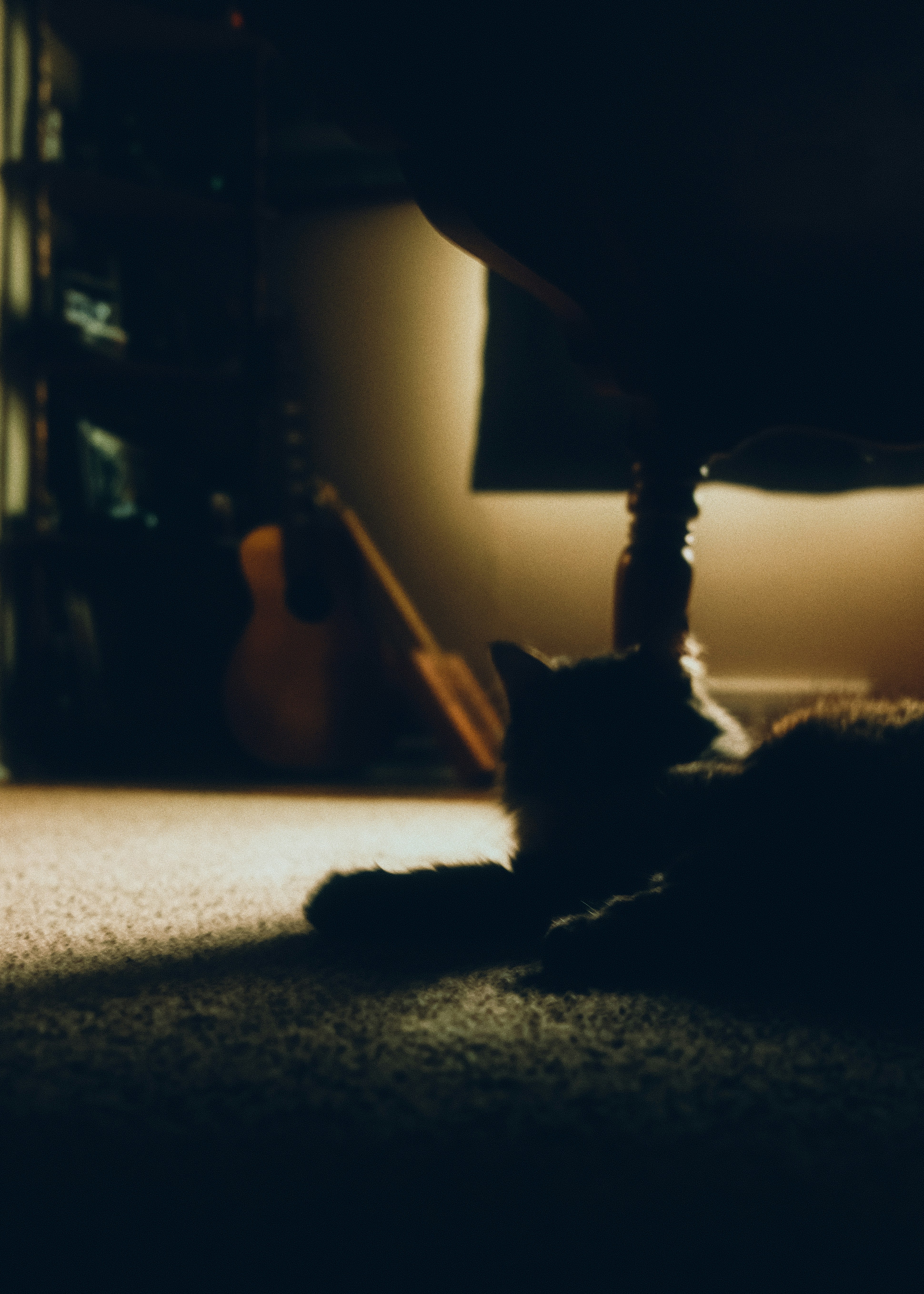 Low Moonlight Lounge: Cat Silhouette at the Edge of a Quiet Room