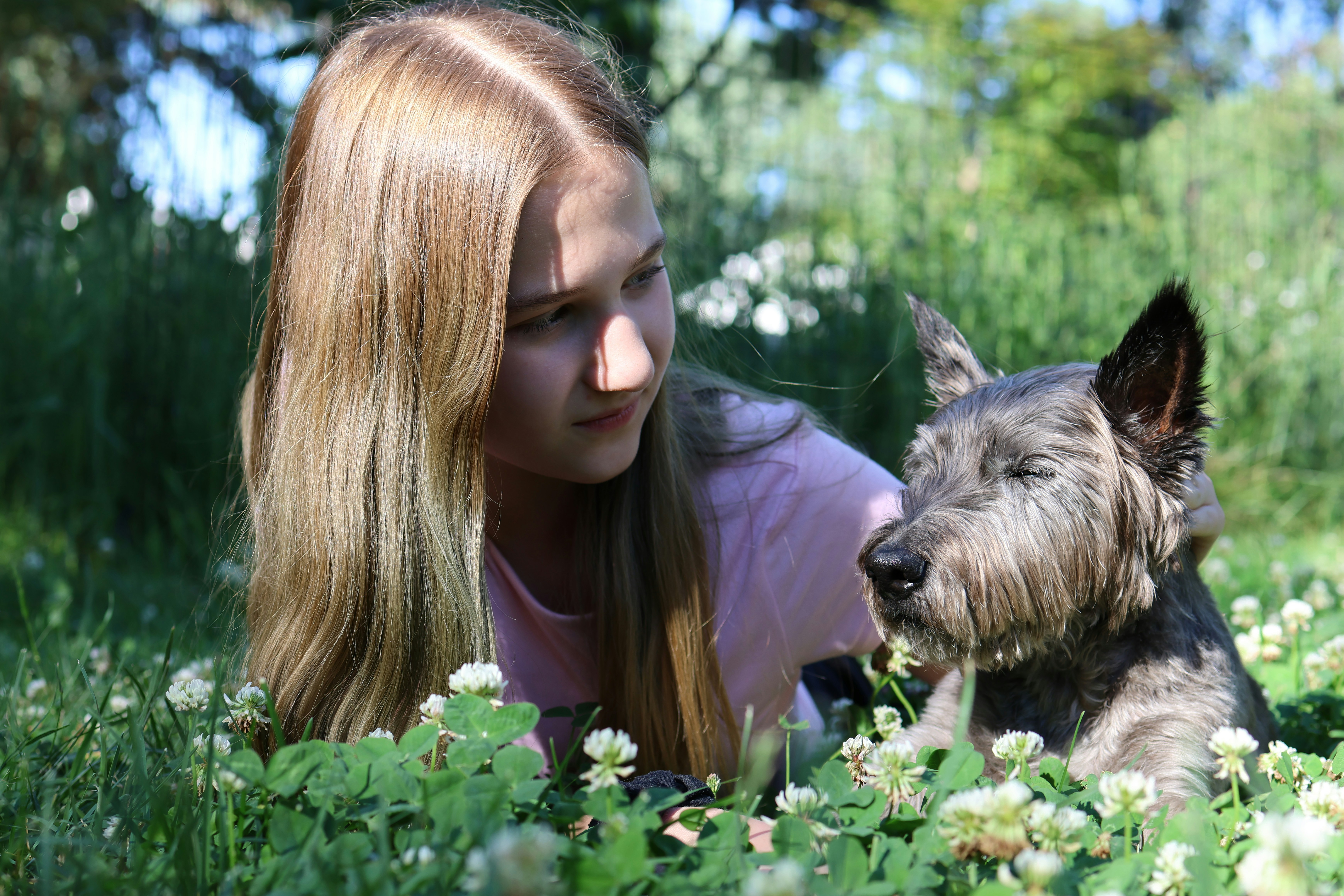 Sunlit Moment: Girl and Dog in a Meadow of Clover