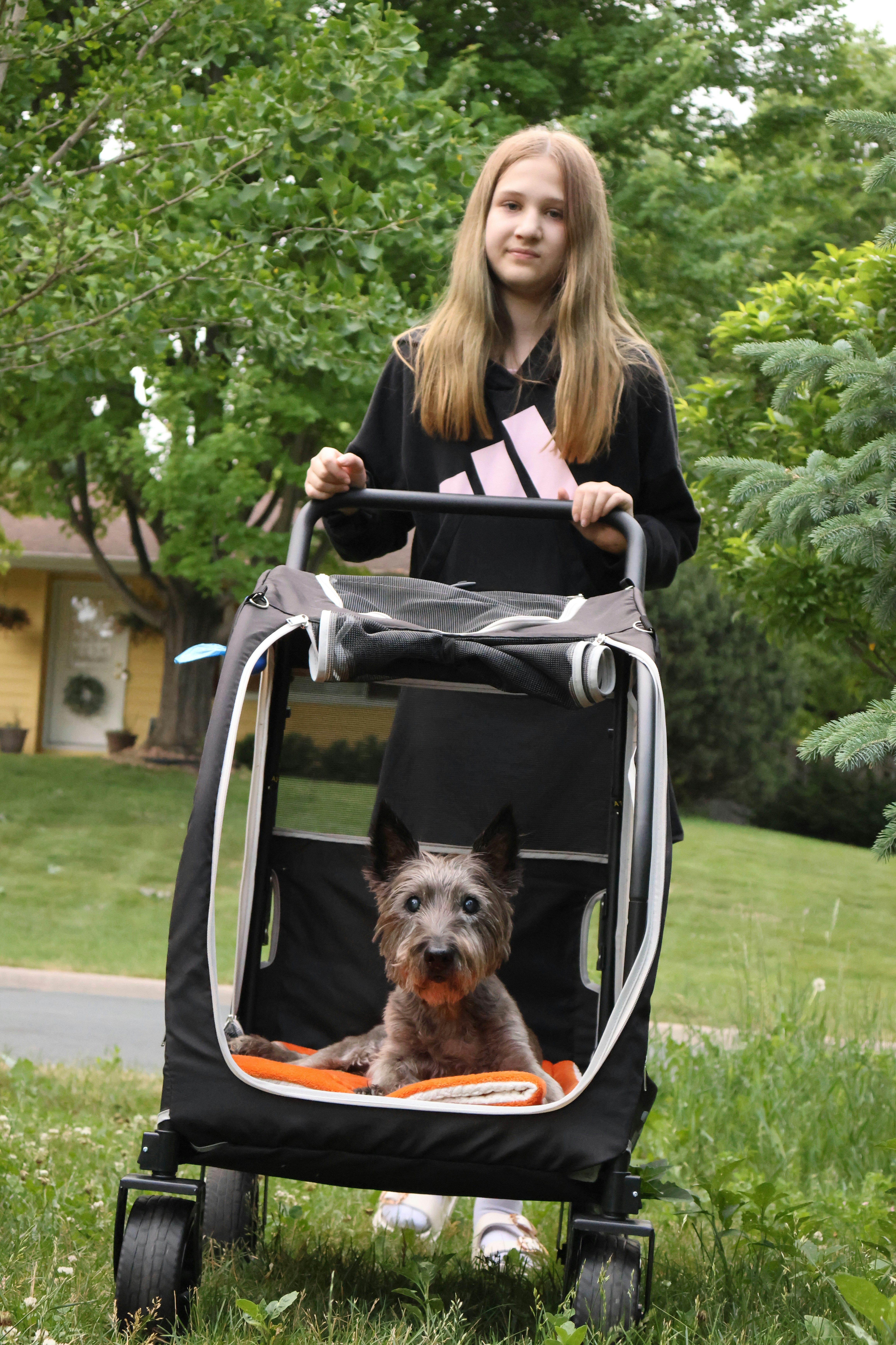 Girl with a pink notebook pushing a dog stroller
