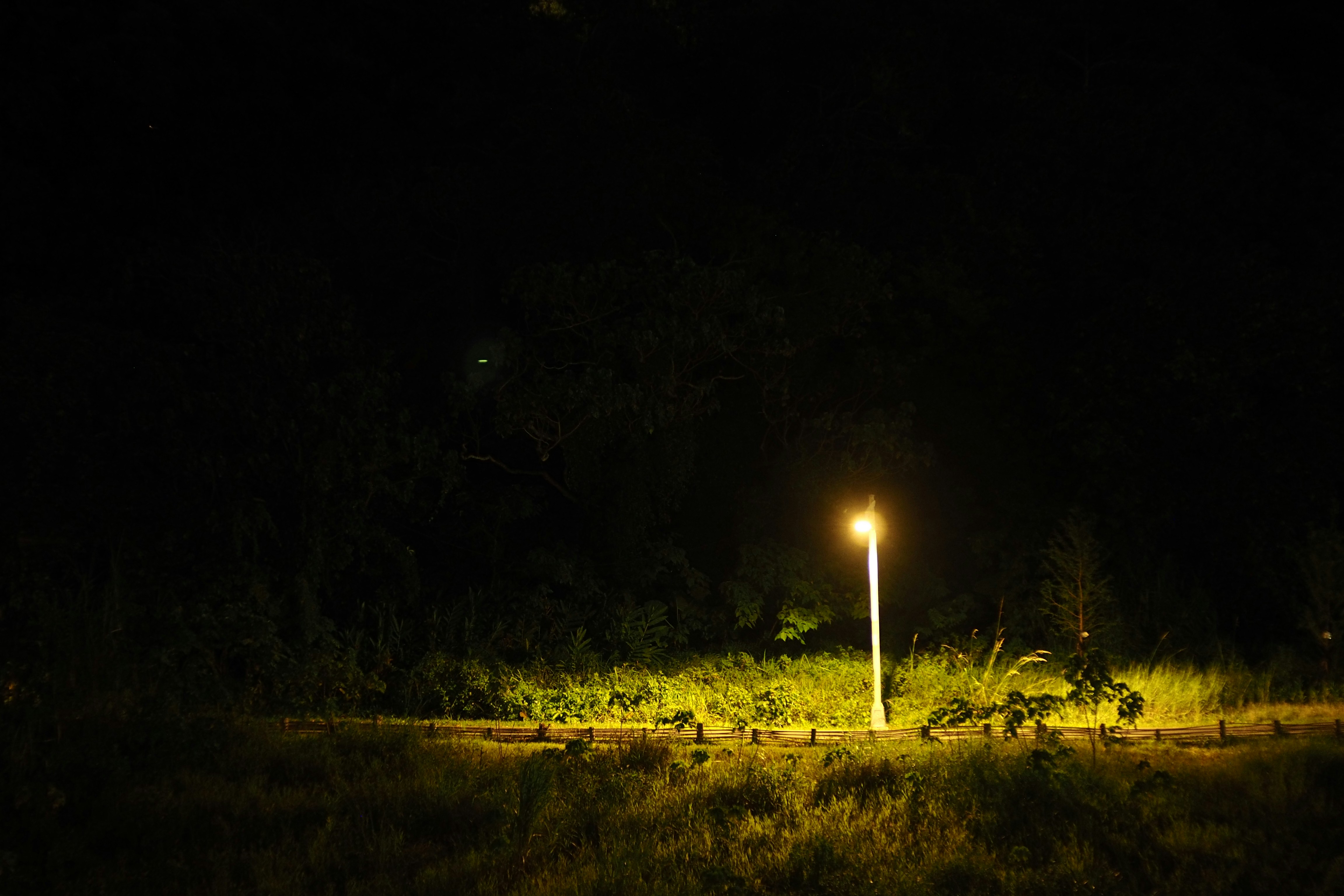 Vacant Night Lane Basked in Streetlight Glow