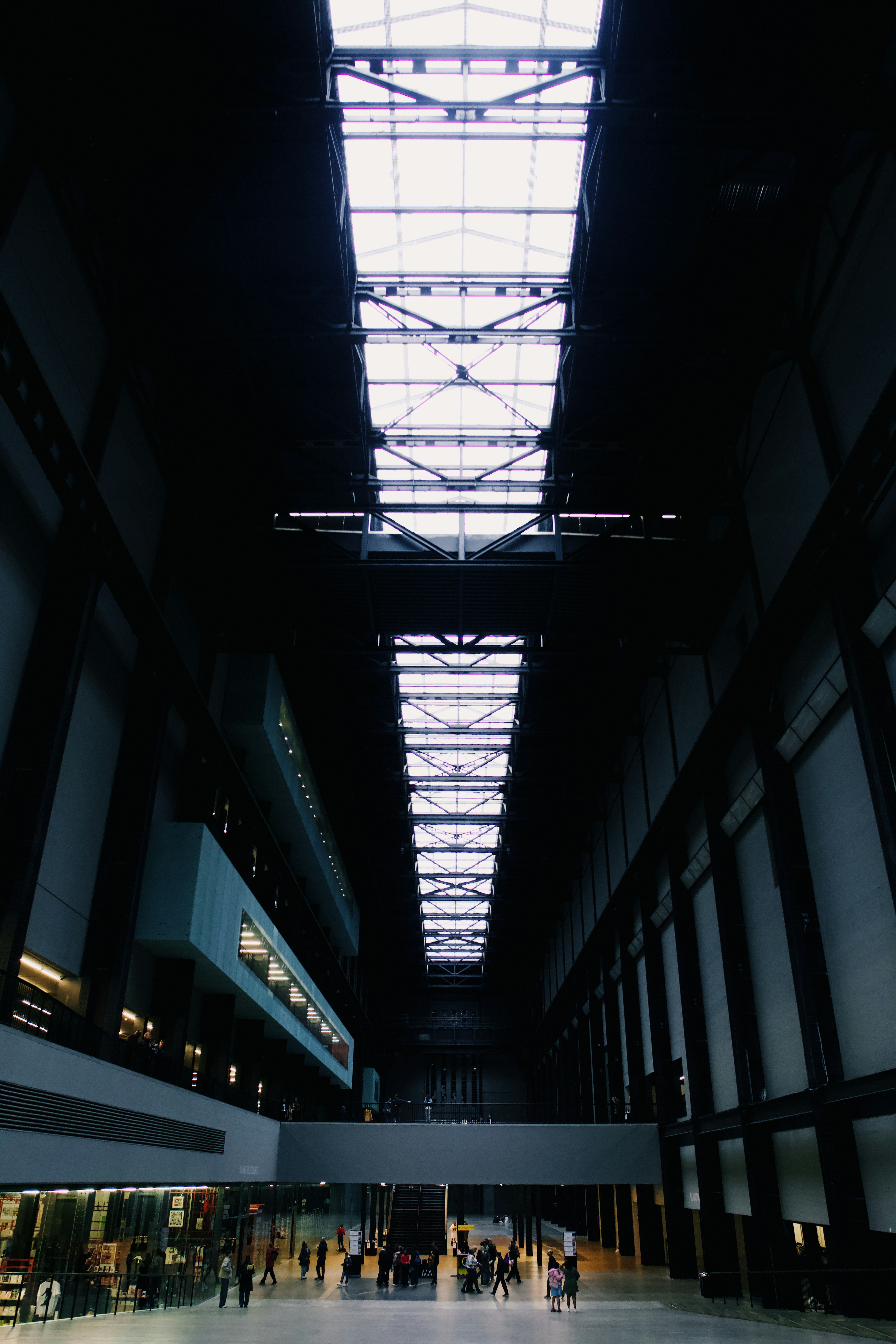 Apex of Silence: Interior Atrium under Glass Canopy