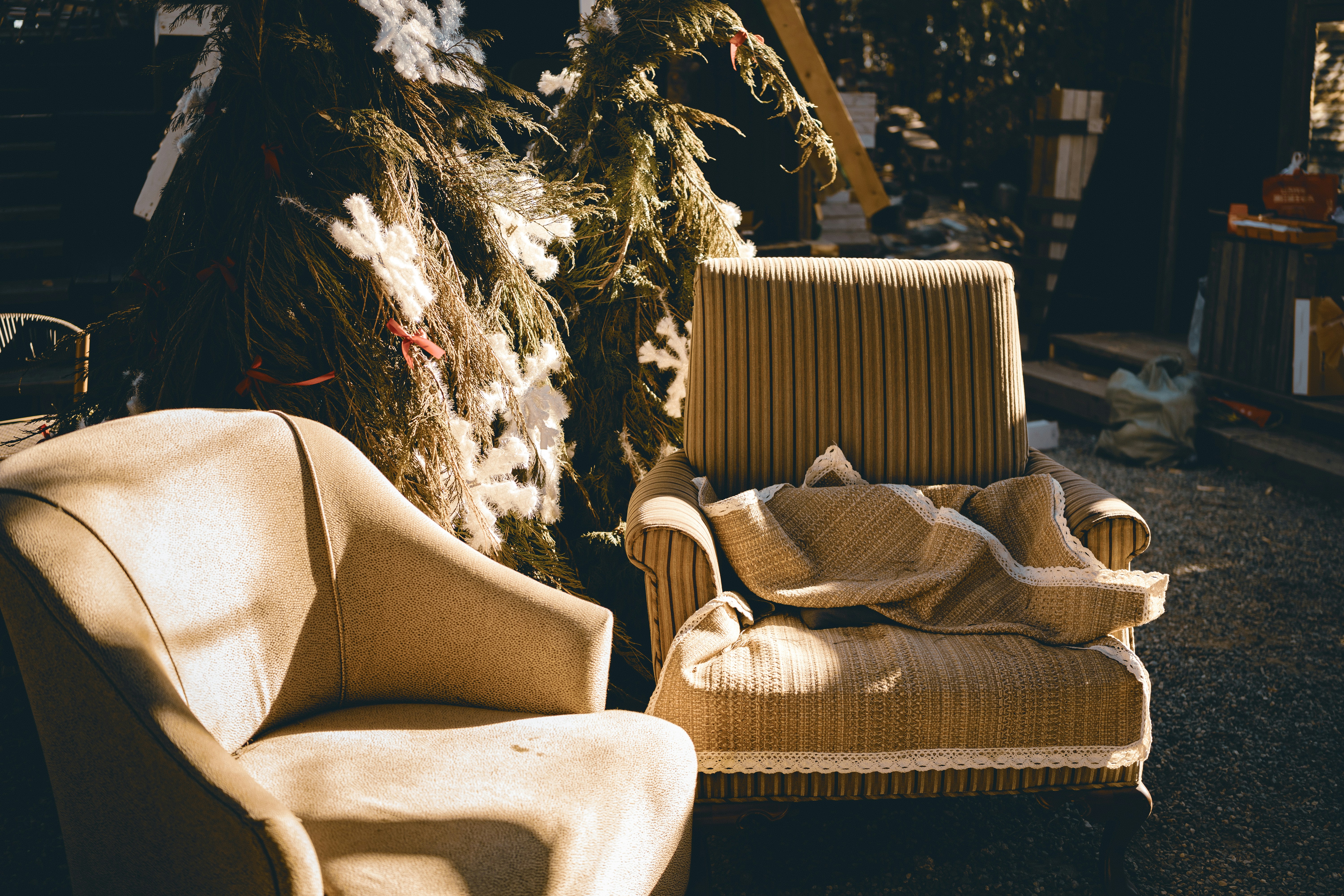 Sunlit Armchairs Beneath a Dusty Holiday Glow