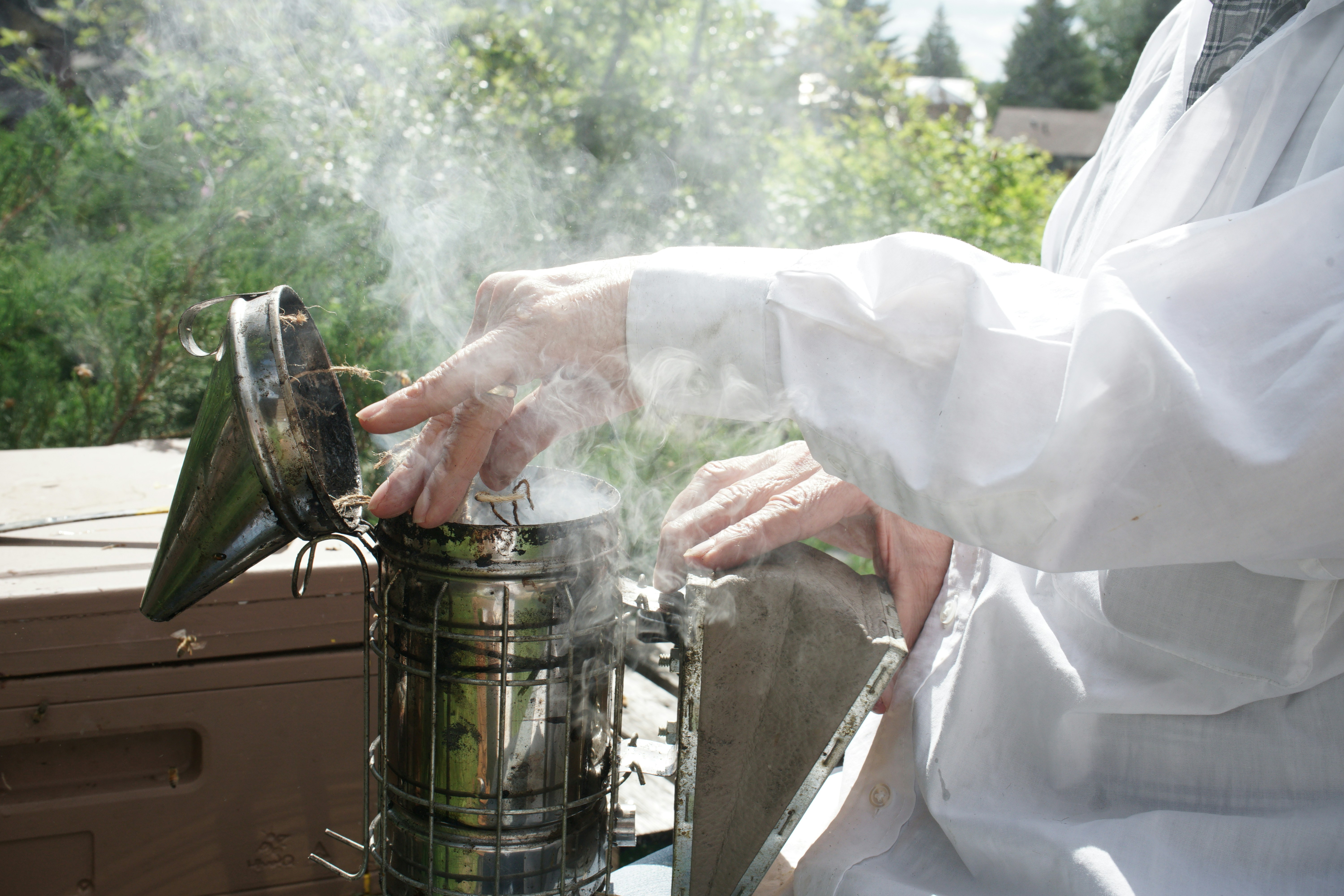 Steam and Service: A Hands-On Moment with a Traditional Furnace